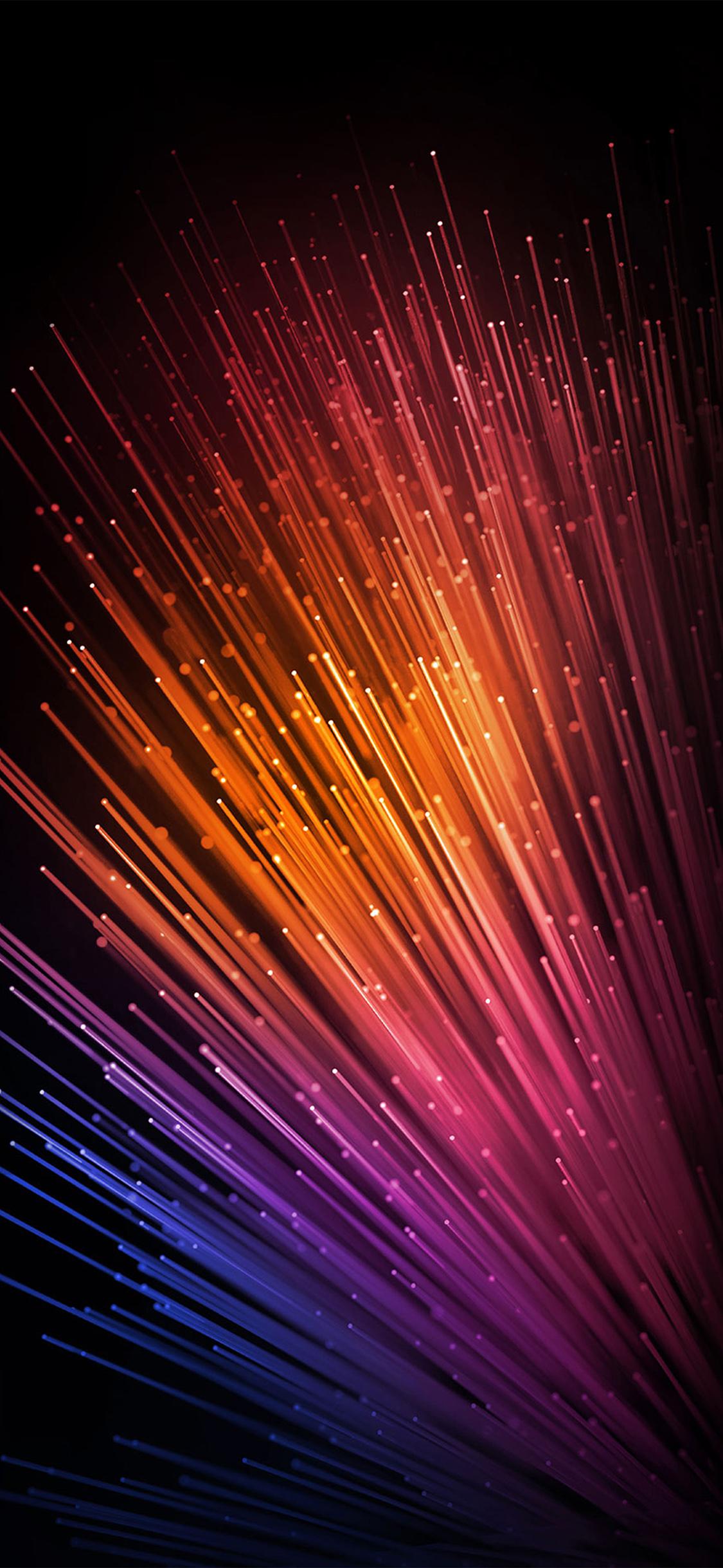 Policy Wallpapers - Top Free Policy Backgrounds - WallpaperAccess