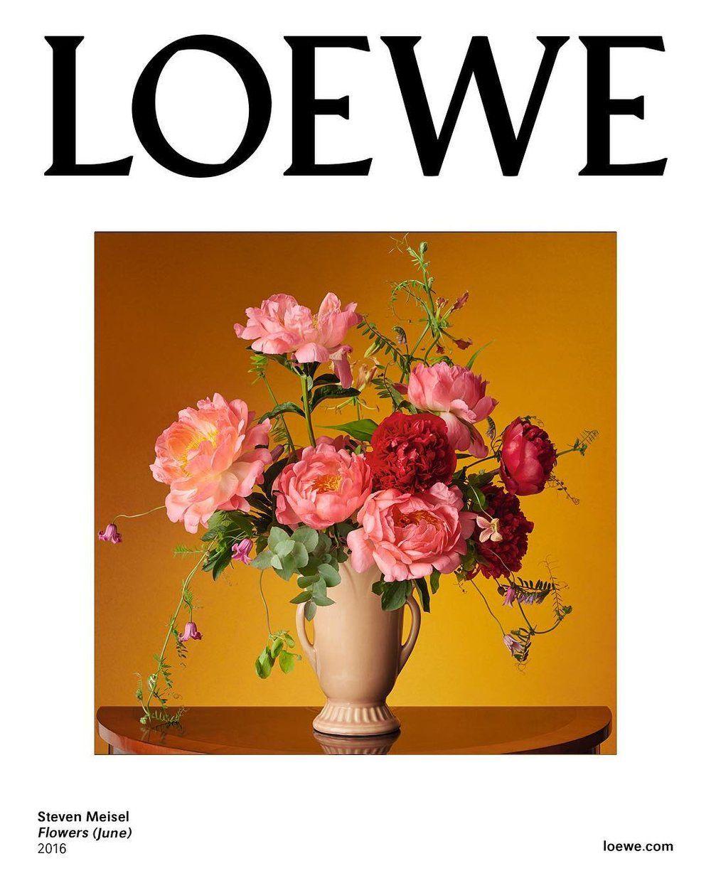 Loewe Wallpapers - Top Free Loewe Backgrounds - WallpaperAccess