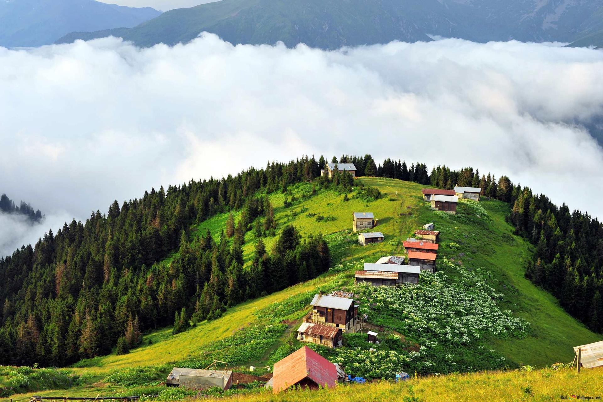 Karadeniz Wallpapers - Top Free Karadeniz Backgrounds - WallpaperAccess