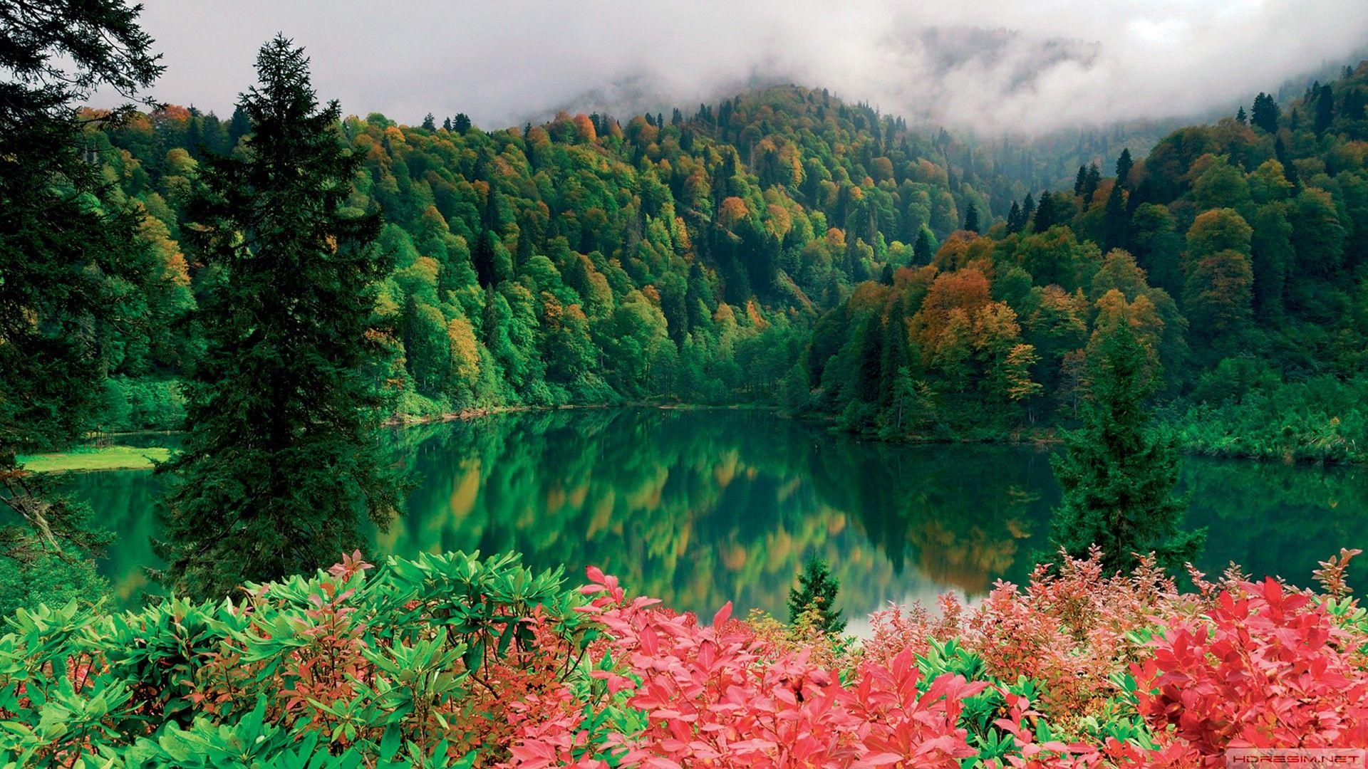 Karadeniz Wallpapers - Top Free Karadeniz Backgrounds - WallpaperAccess