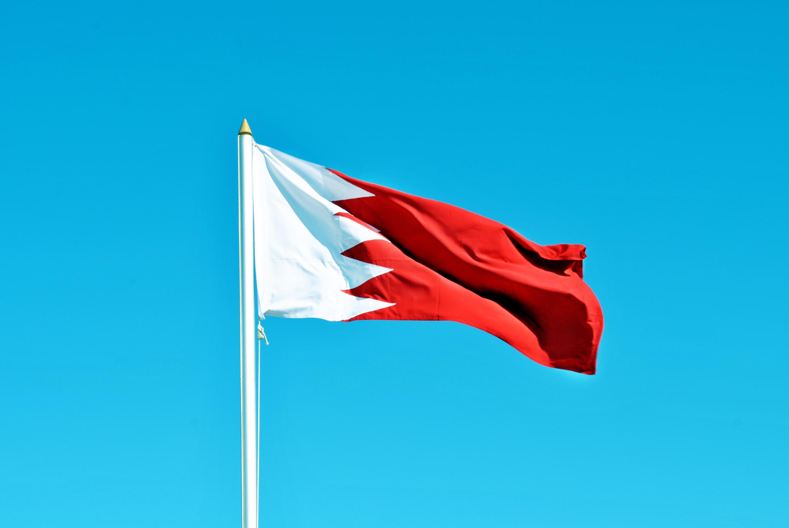Bahrain Flag Wallpapers - Top Free Bahrain Flag Backgrounds ...