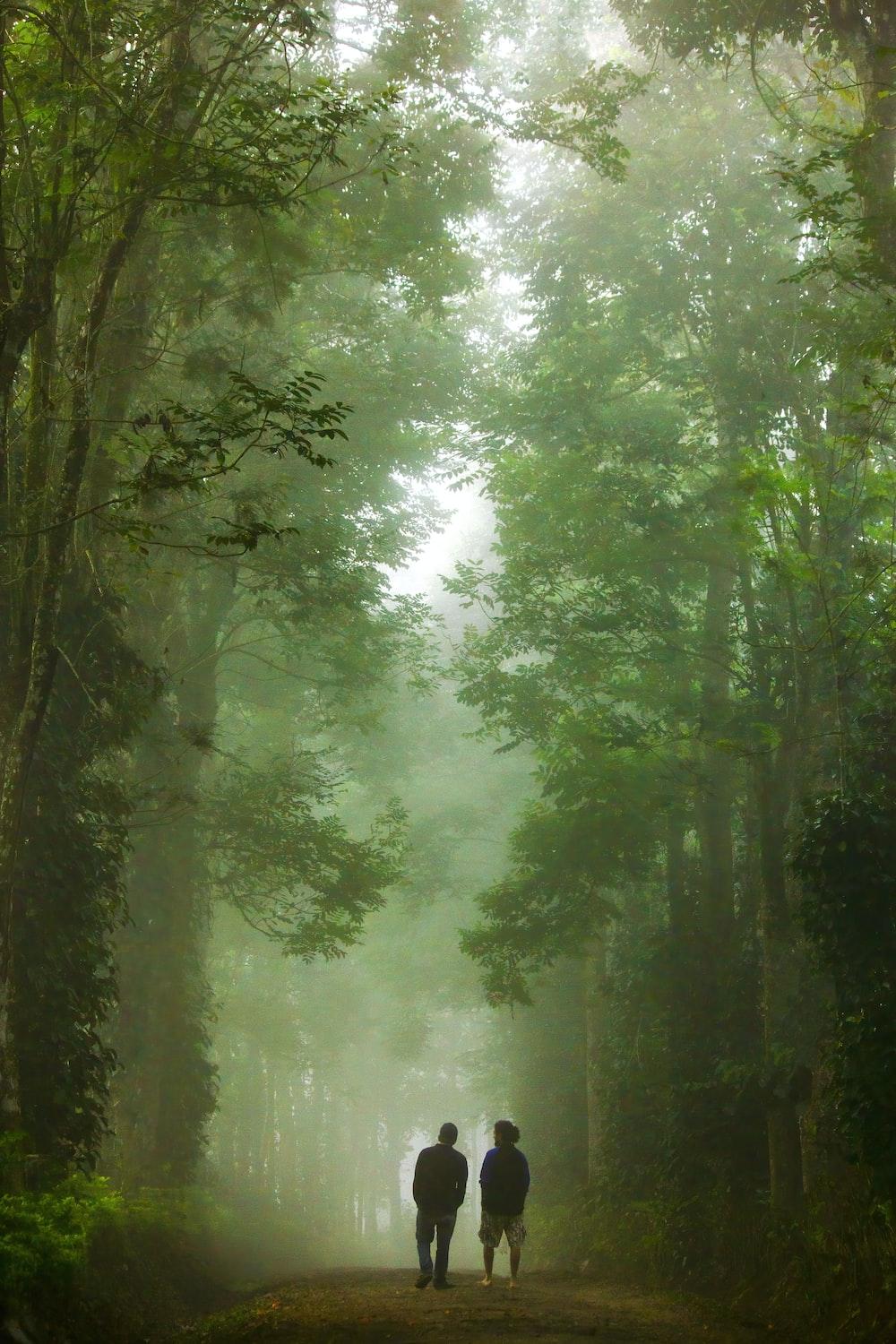 Coorg Wallpapers - Top Free Coorg Backgrounds - WallpaperAccess