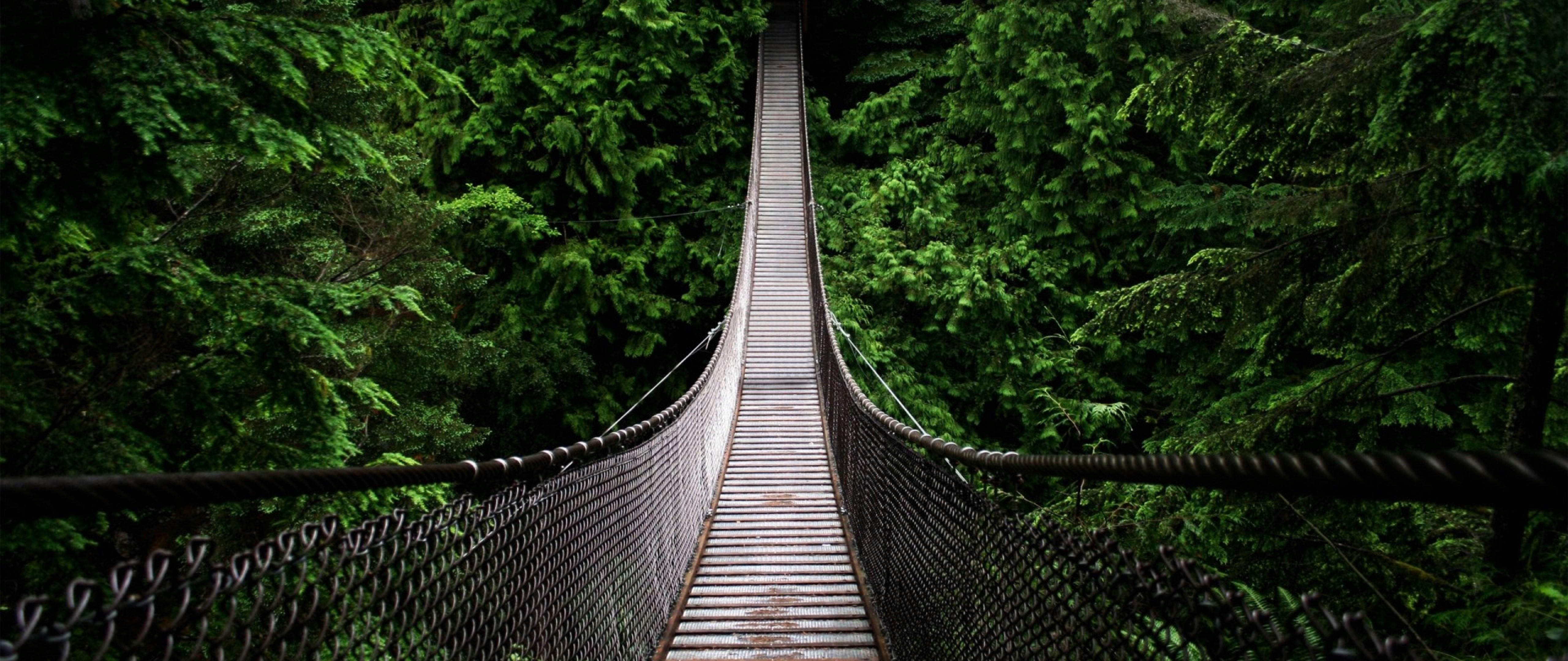 Coorg Wallpapers - Top Free Coorg Backgrounds - WallpaperAccess