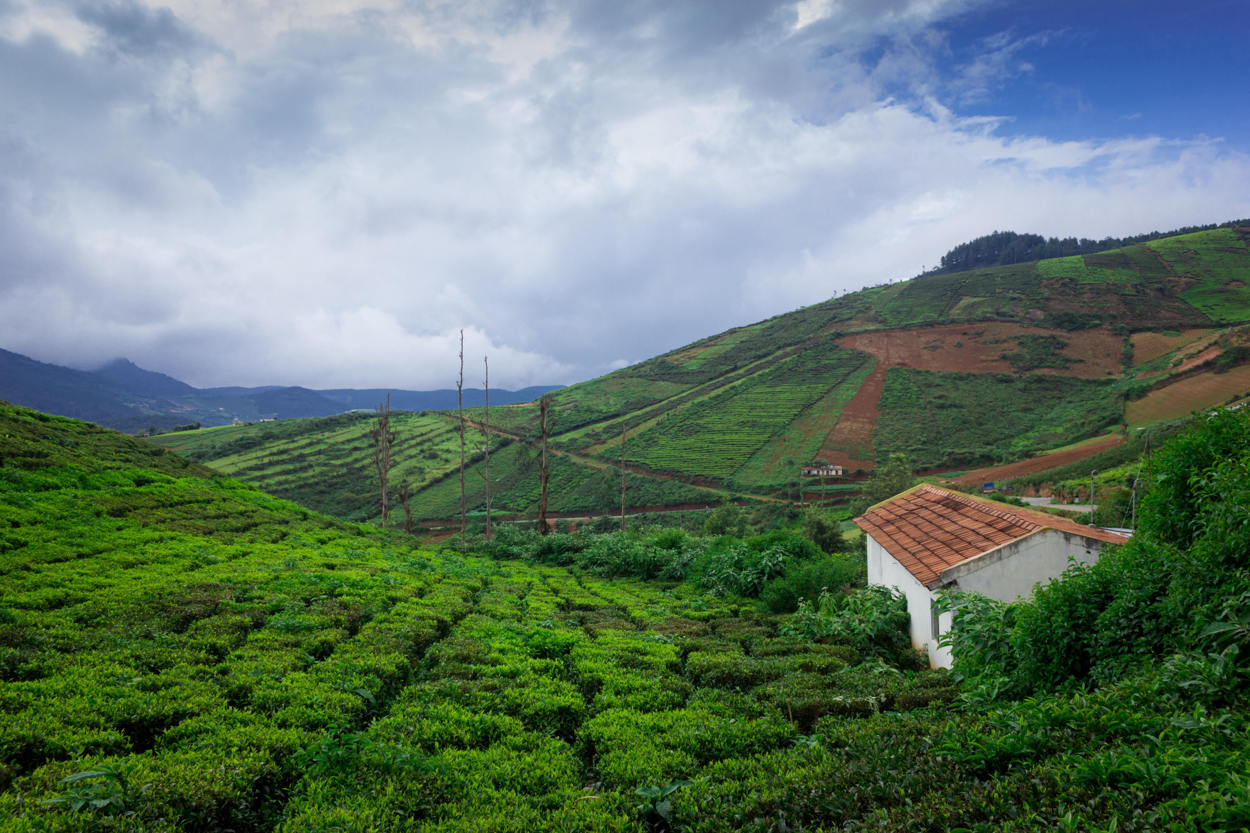 Coorg Wallpapers - Top Free Coorg Backgrounds - WallpaperAccess