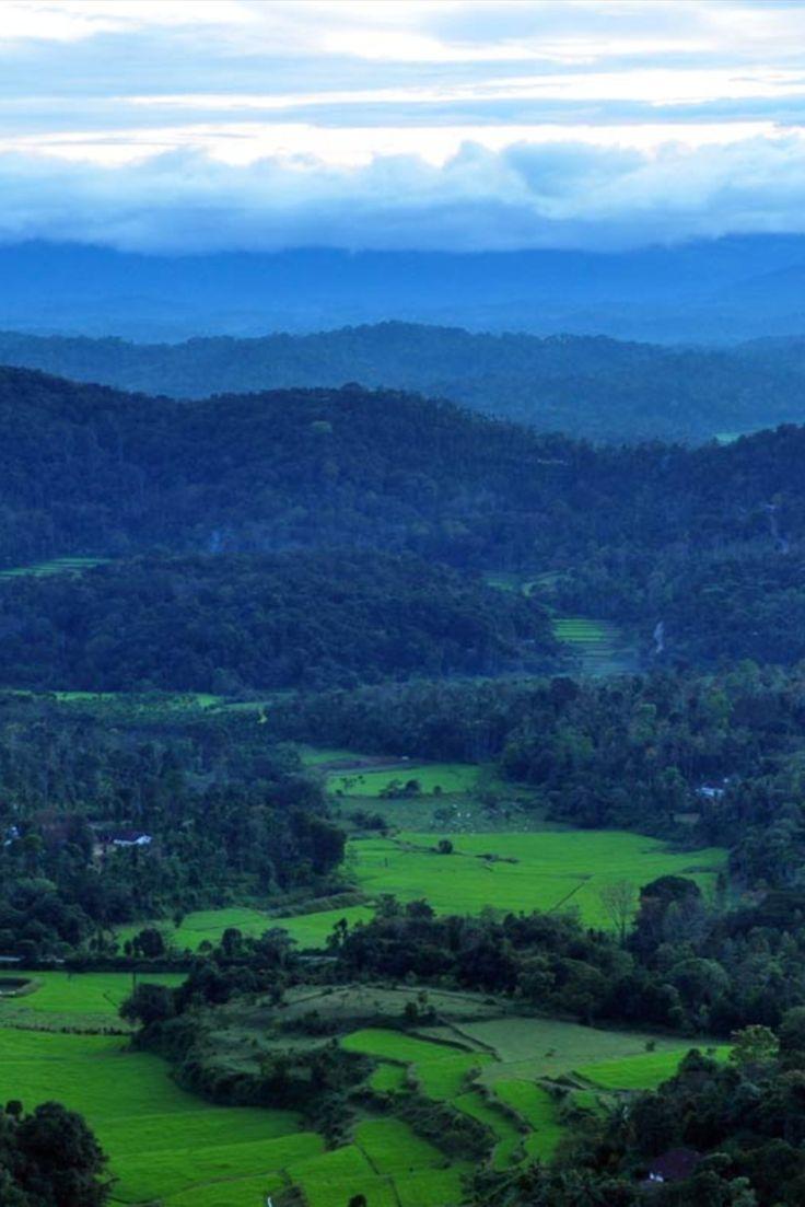 Coorg Wallpapers - Top Free Coorg Backgrounds - WallpaperAccess