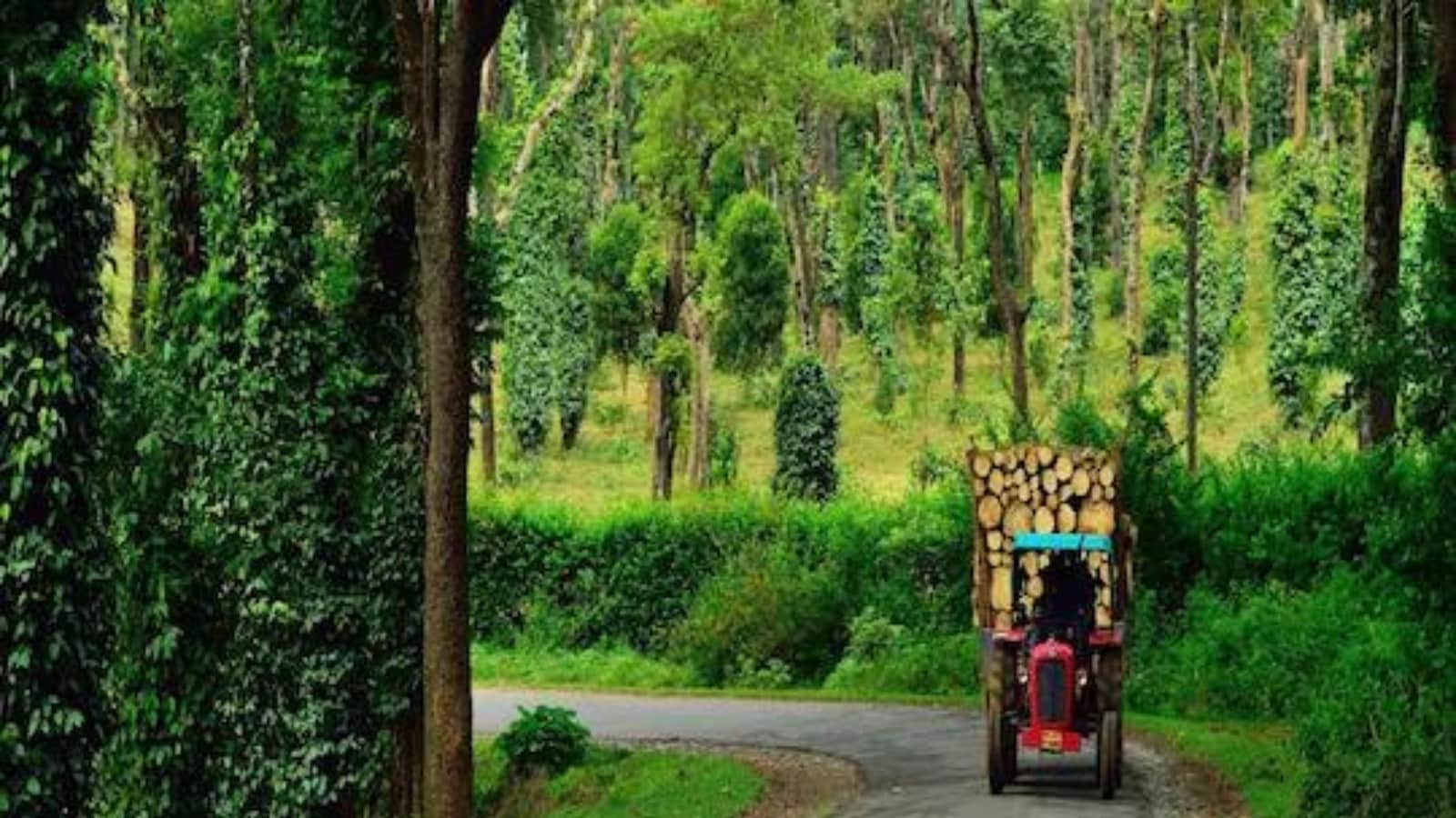 Coorg Wallpapers - Top Free Coorg Backgrounds - WallpaperAccess