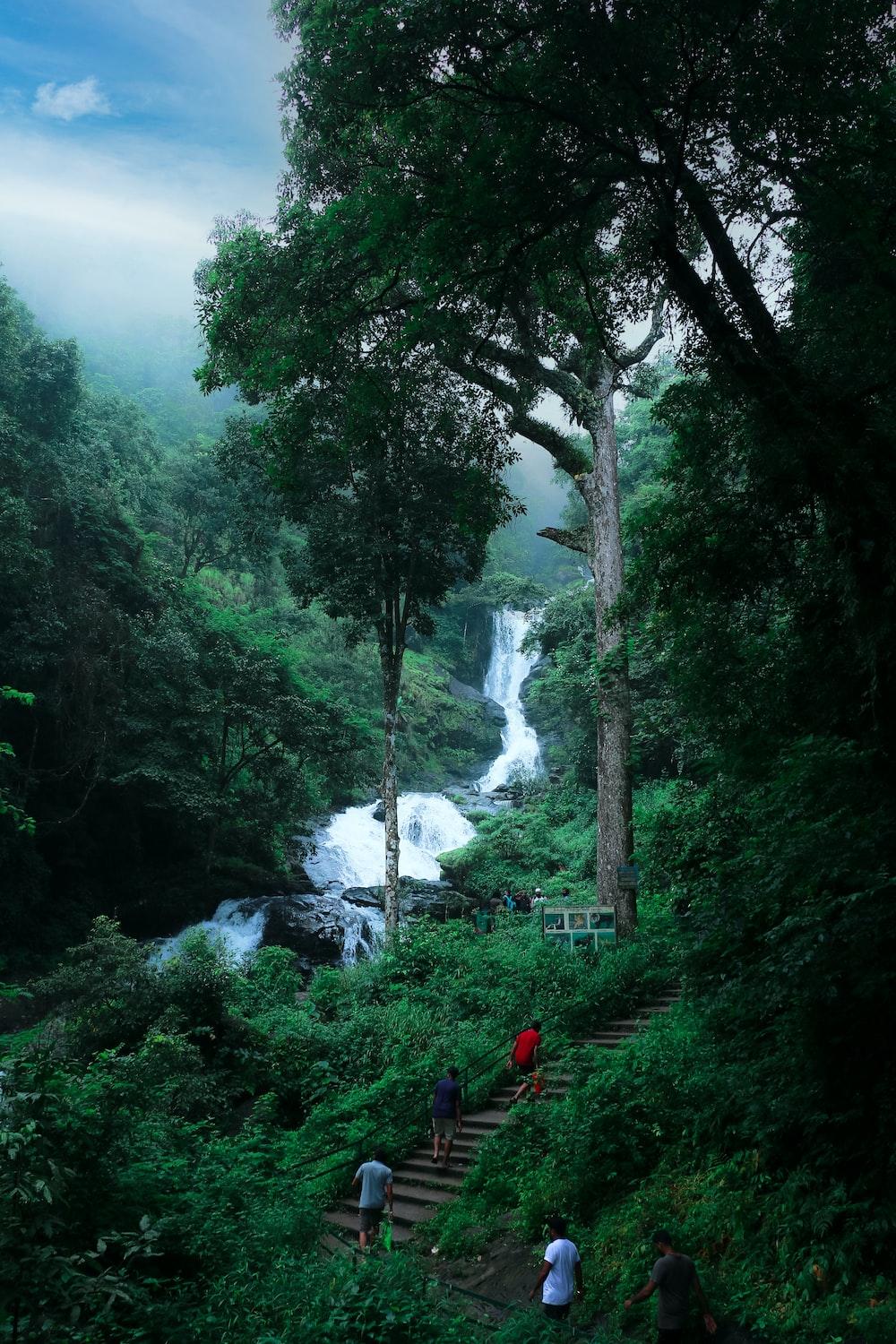 Coorg Wallpapers - Top Free Coorg Backgrounds - WallpaperAccess