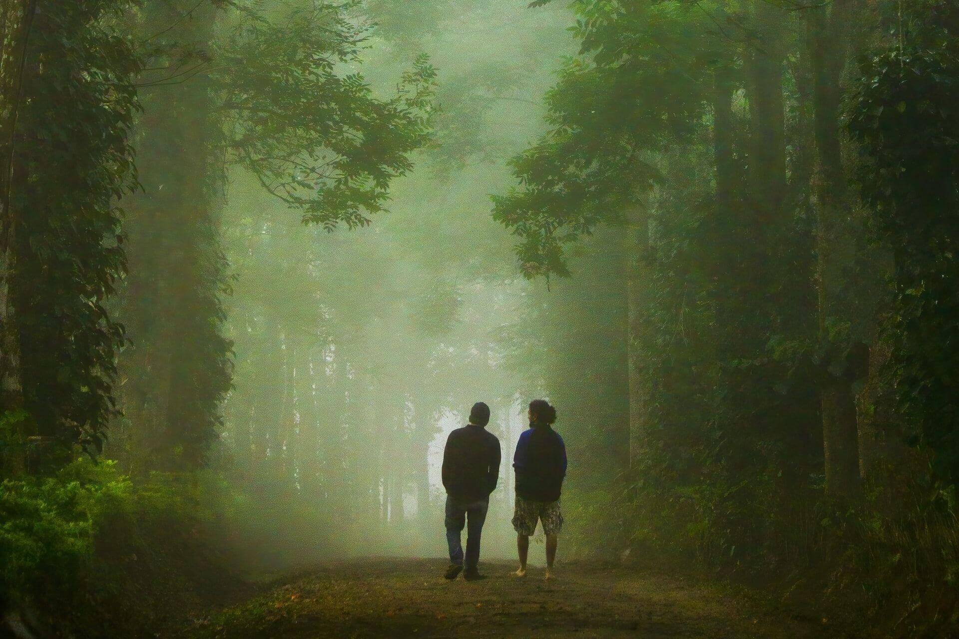 Coorg Wallpapers - Top Free Coorg Backgrounds - WallpaperAccess