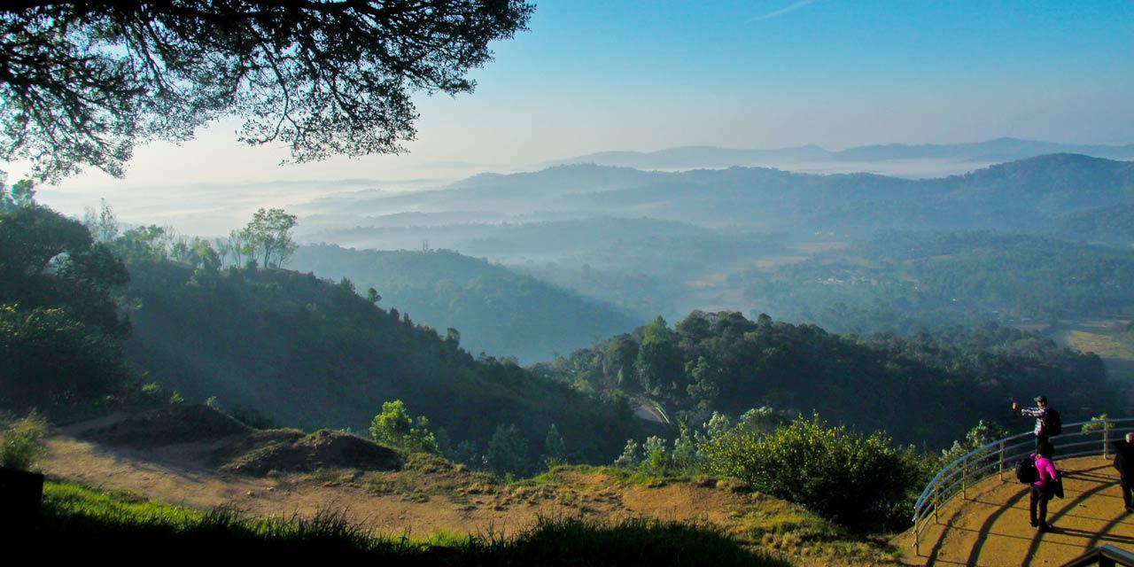 Coorg Wallpapers - Top Free Coorg Backgrounds - WallpaperAccess