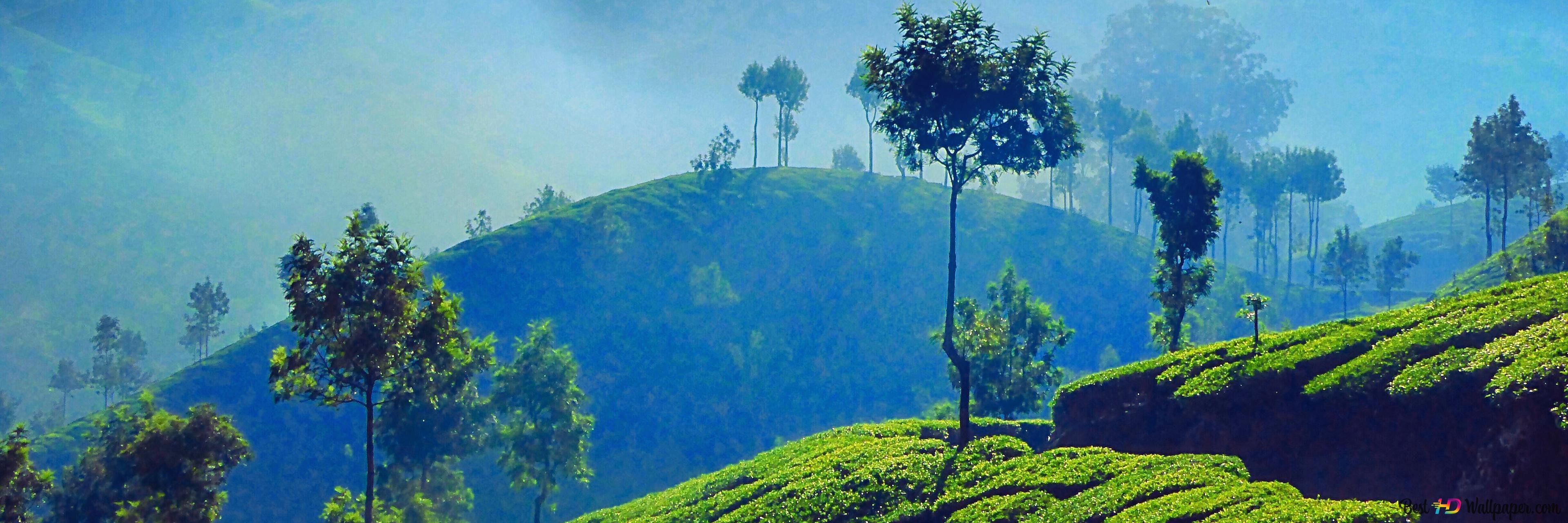 Coorg Wallpapers - Top Free Coorg Backgrounds - WallpaperAccess