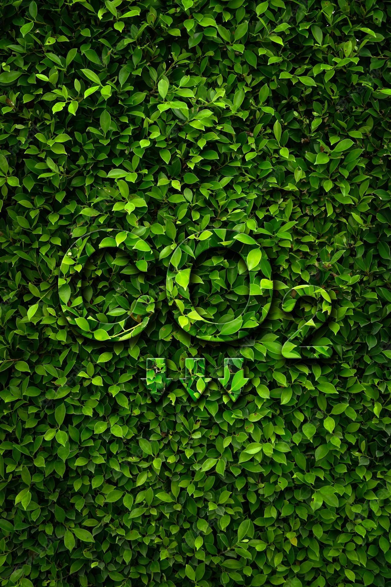 CO2 Wallpapers - Top Free CO2 Backgrounds - WallpaperAccess