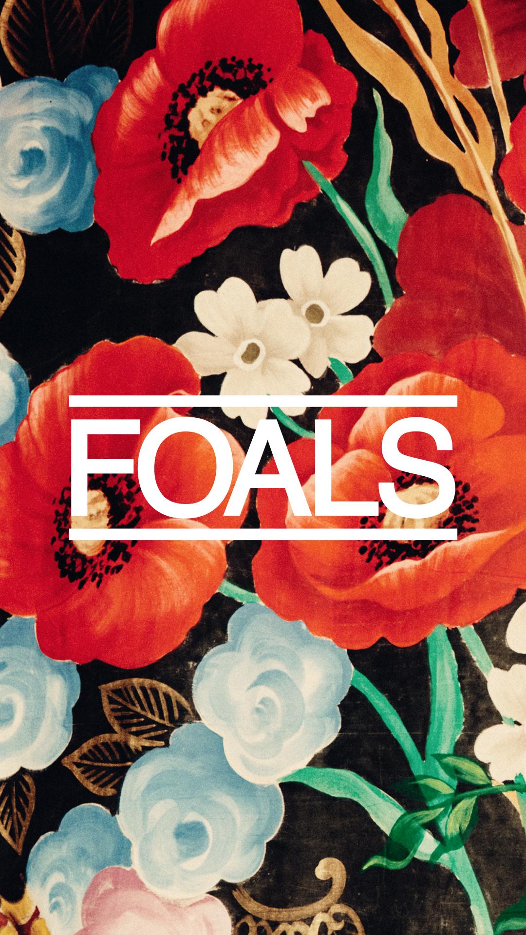 Foals Wallpapers - Top Free Foals Backgrounds - WallpaperAccess