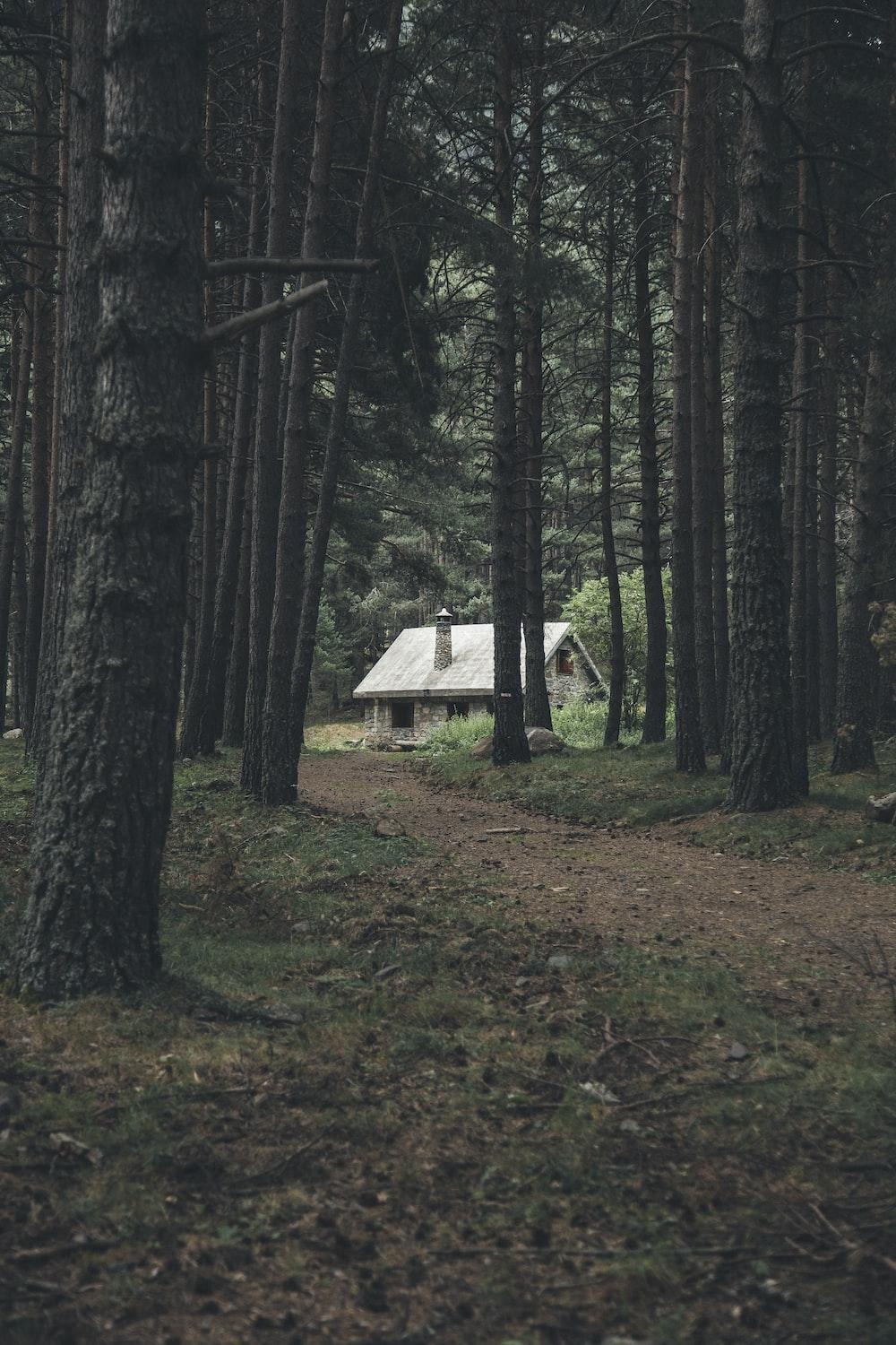 House in Forest Wallpapers - Top Free House in Forest Backgrounds ...