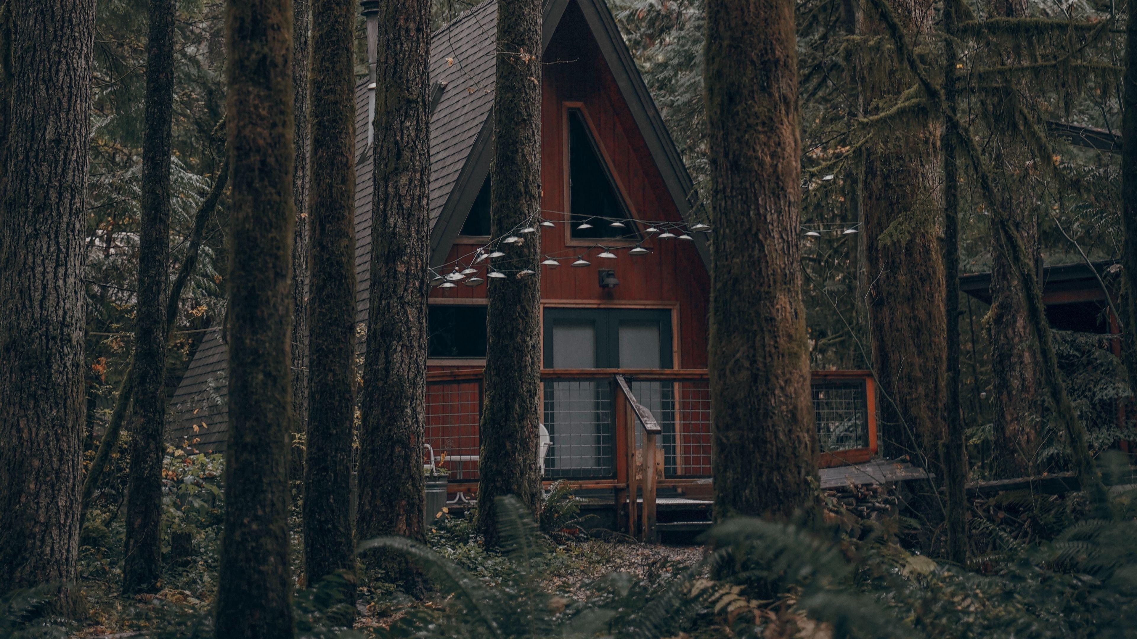 House in Forest Wallpapers - Top Free House in Forest Backgrounds ...