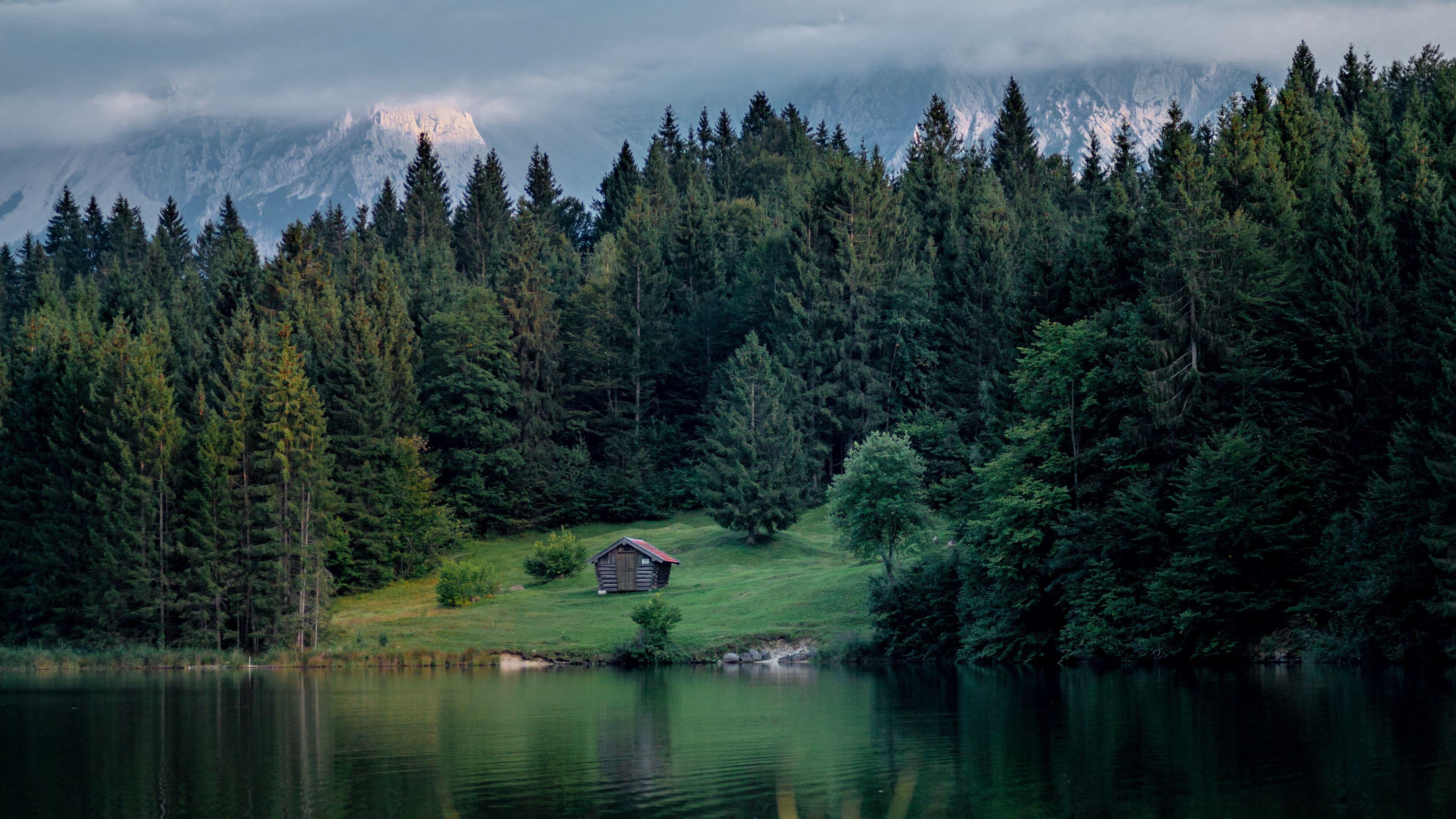 House in Forest Wallpapers - Top Free House in Forest Backgrounds ...