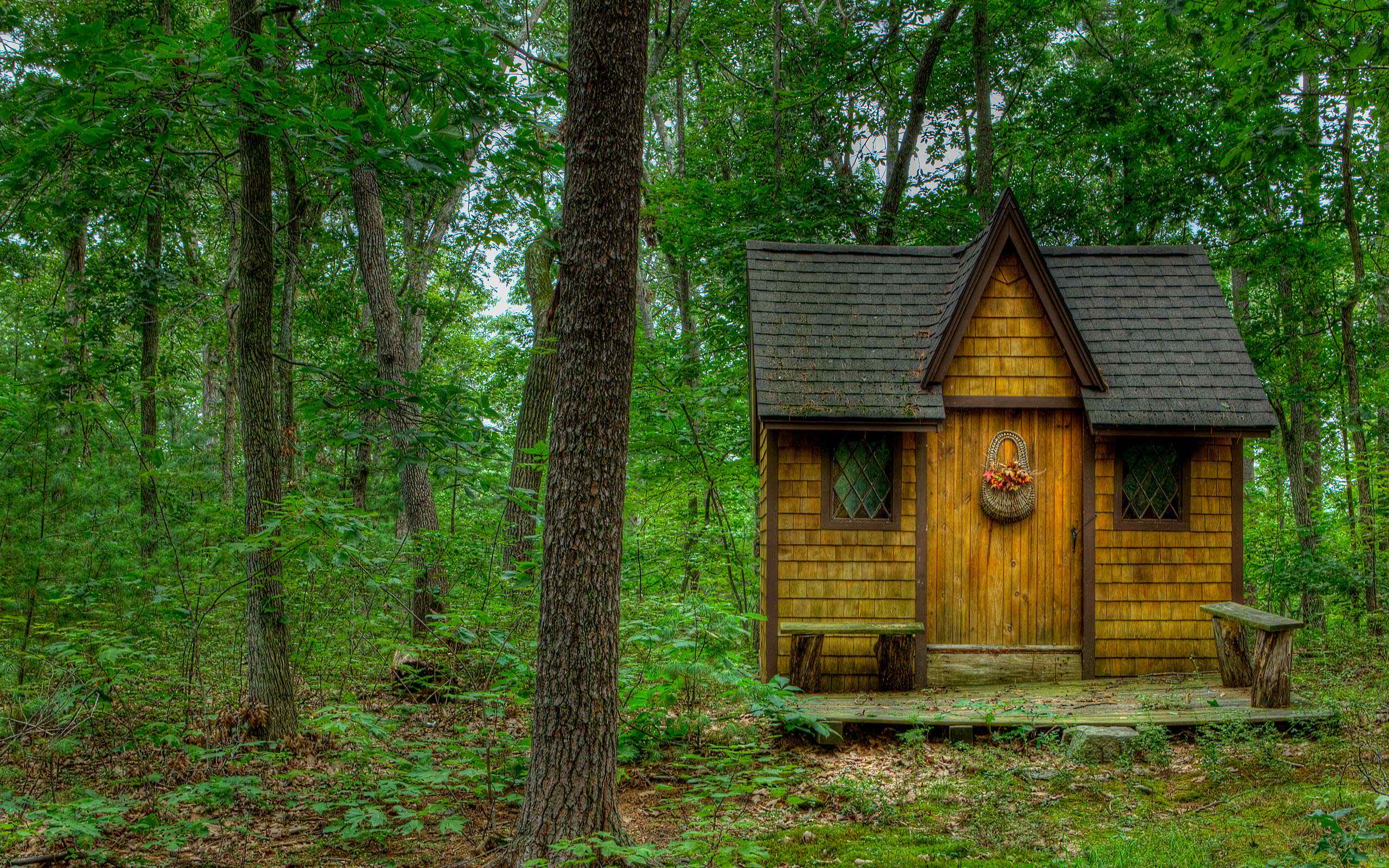 House in Forest Wallpapers - Top Free House in Forest Backgrounds ...