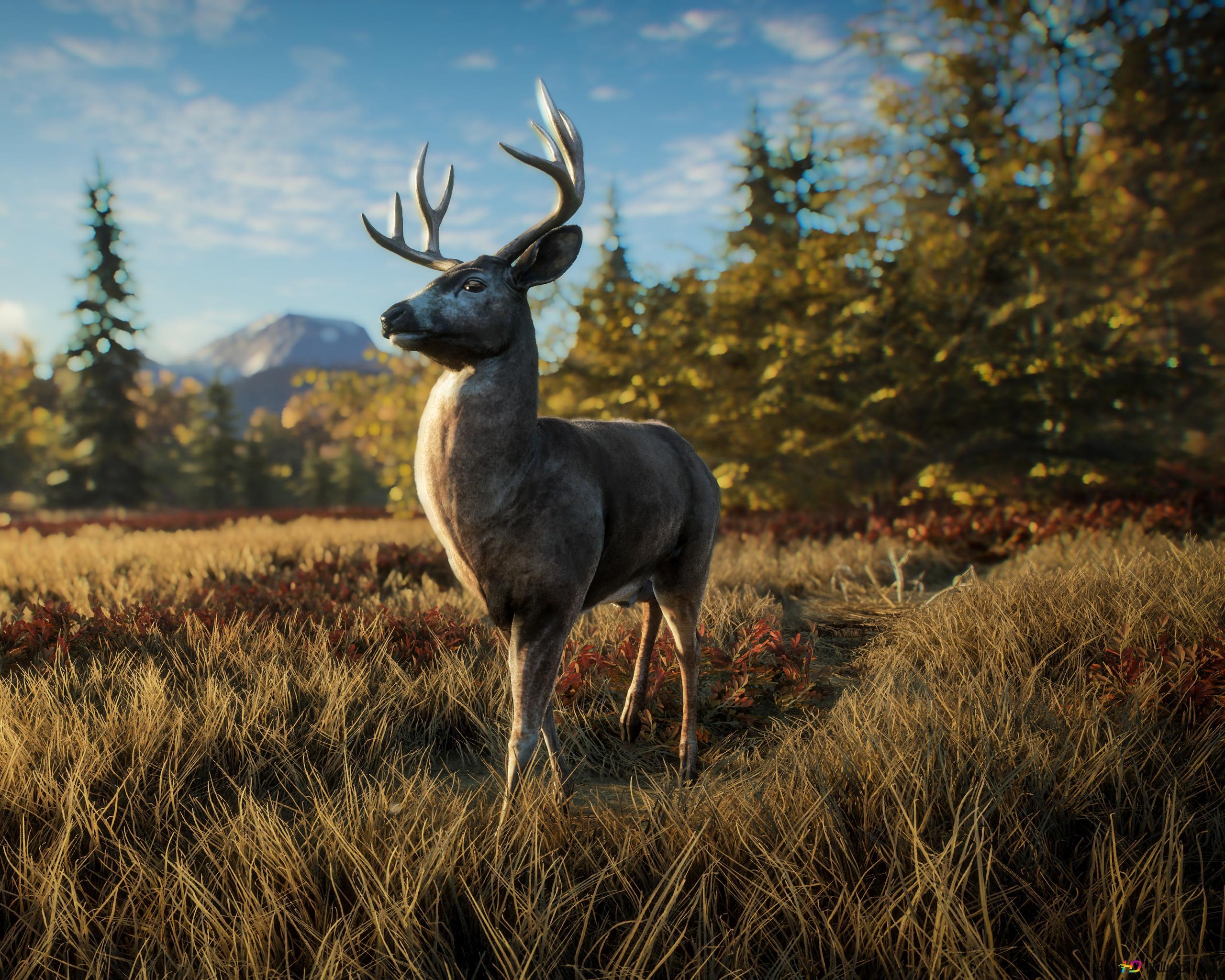 The Deer Hunter Wallpapers - Top Free The Deer Hunter Backgrounds ...