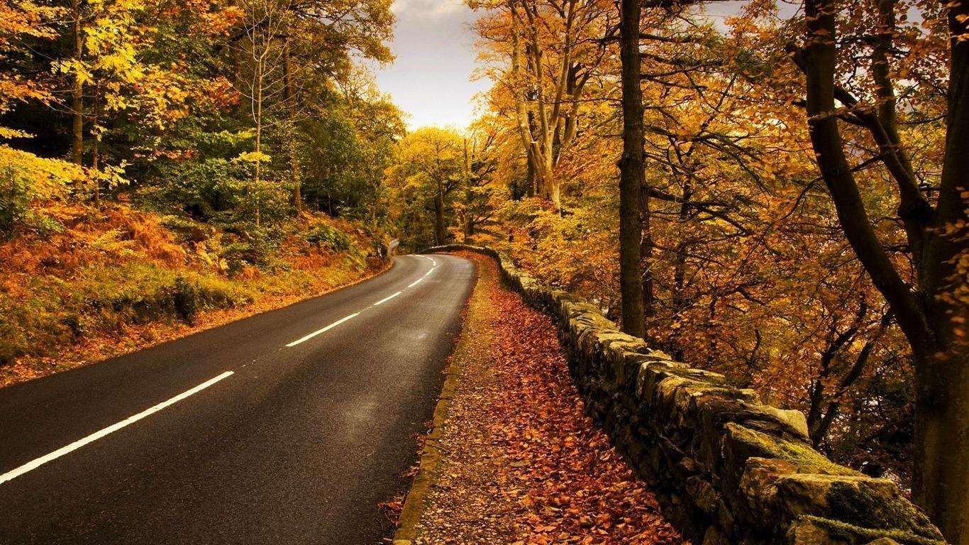 Roadside Wallpapers - Top Free Roadside Backgrounds - WallpaperAccess
