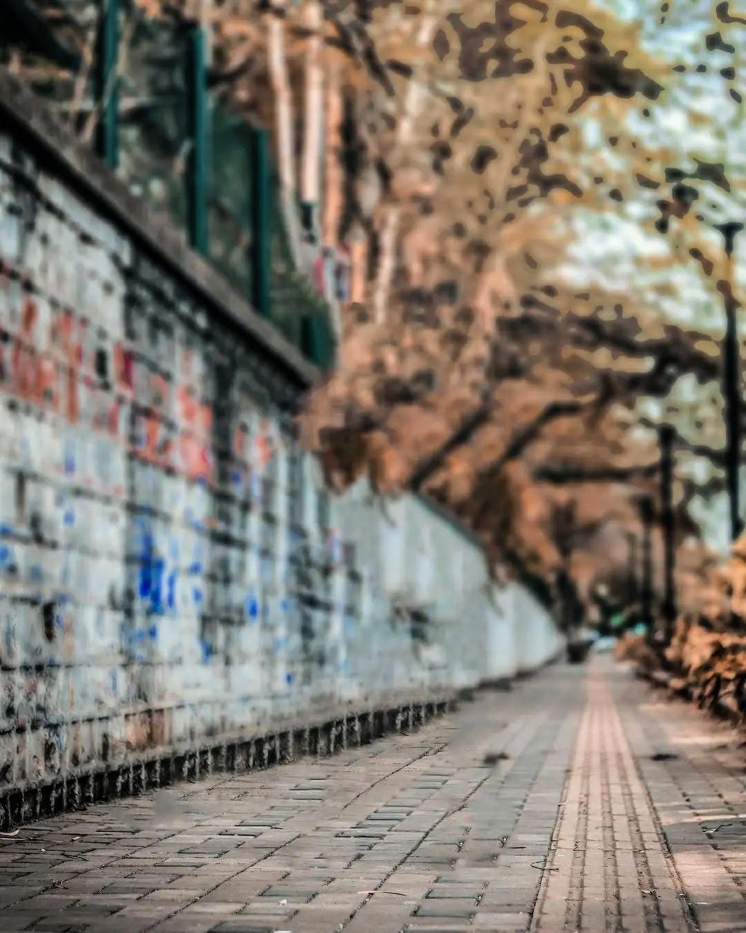 Roadside Wallpapers - Top Free Roadside Backgrounds - WallpaperAccess