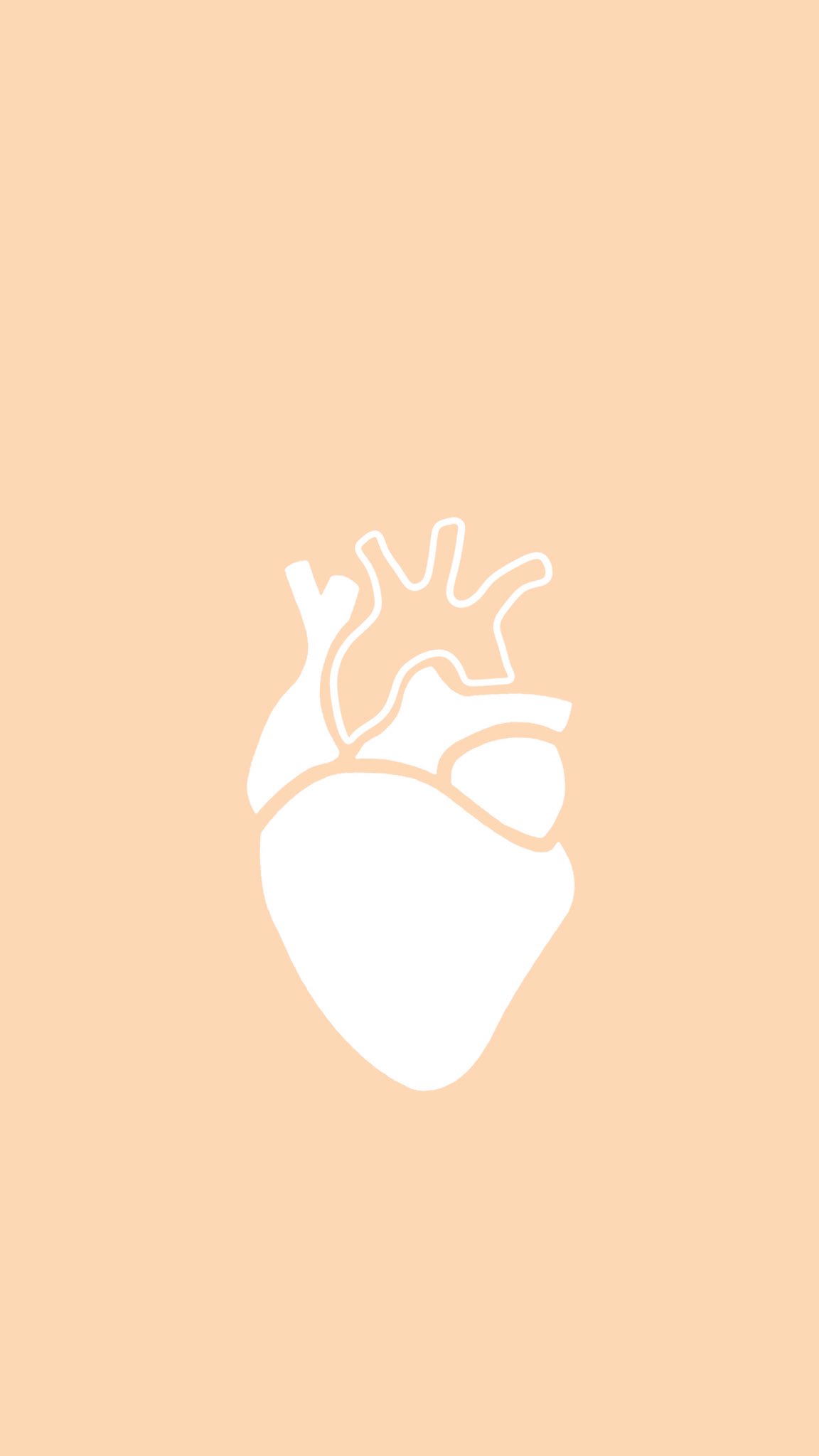 Qlf Wallpapers - Top Free Qlf Backgrounds - WallpaperAccess