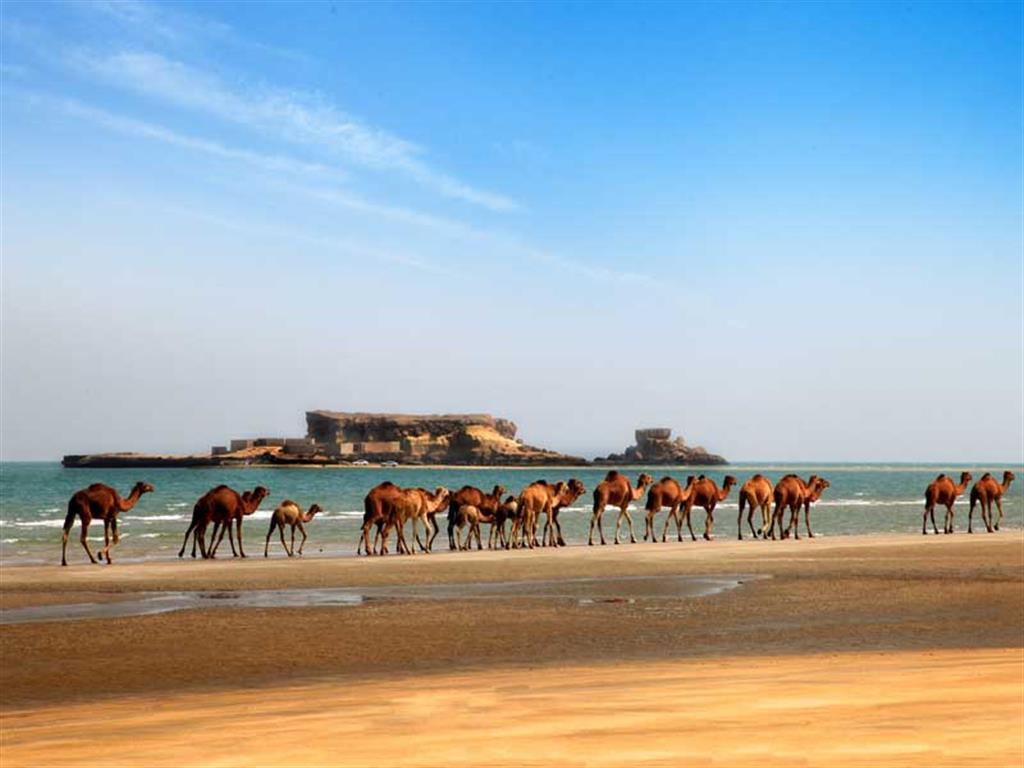 Qeshm Wallpapers - Top Free Qeshm Backgrounds - WallpaperAccess