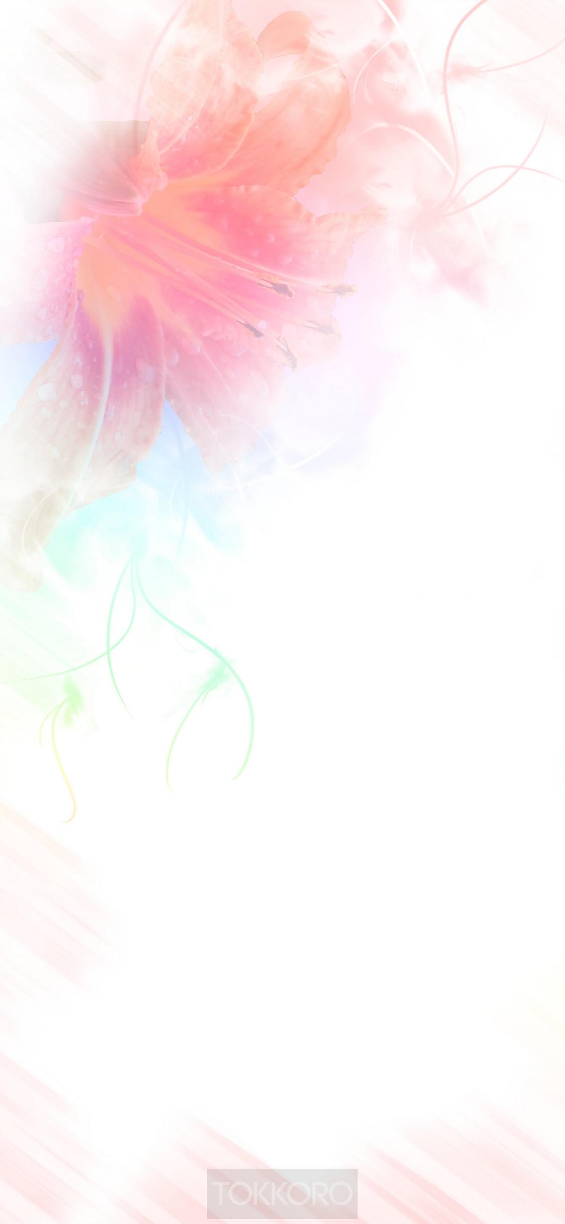 Softy Wallpapers - Top Free Softy Backgrounds - WallpaperAccess