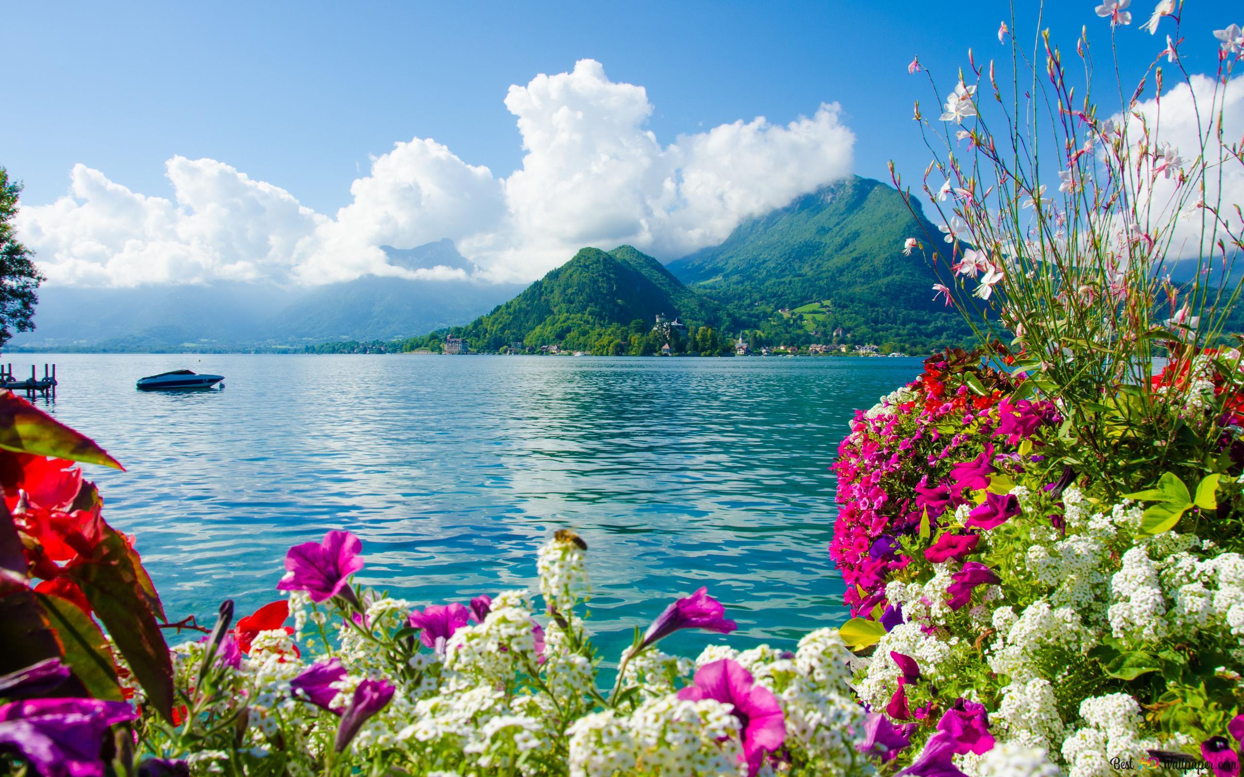 Seen Wallpapers - Top Free Seen Backgrounds - WallpaperAccess