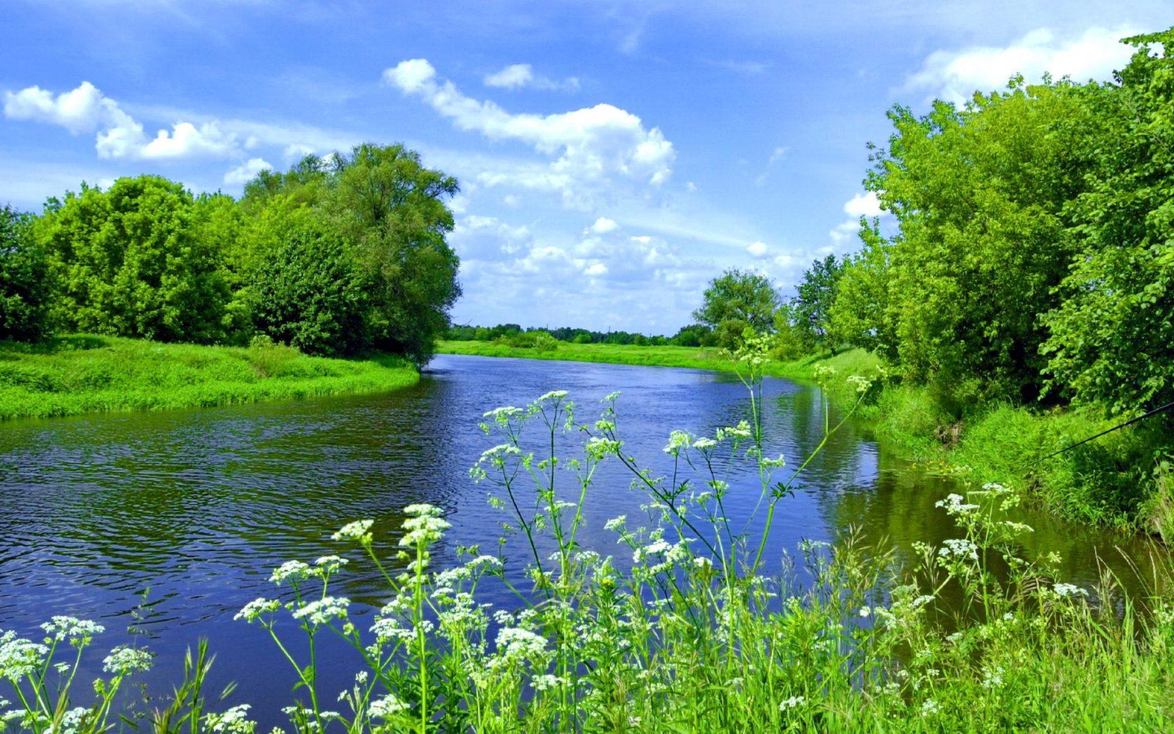 Seen Wallpapers - Top Free Seen Backgrounds - WallpaperAccess