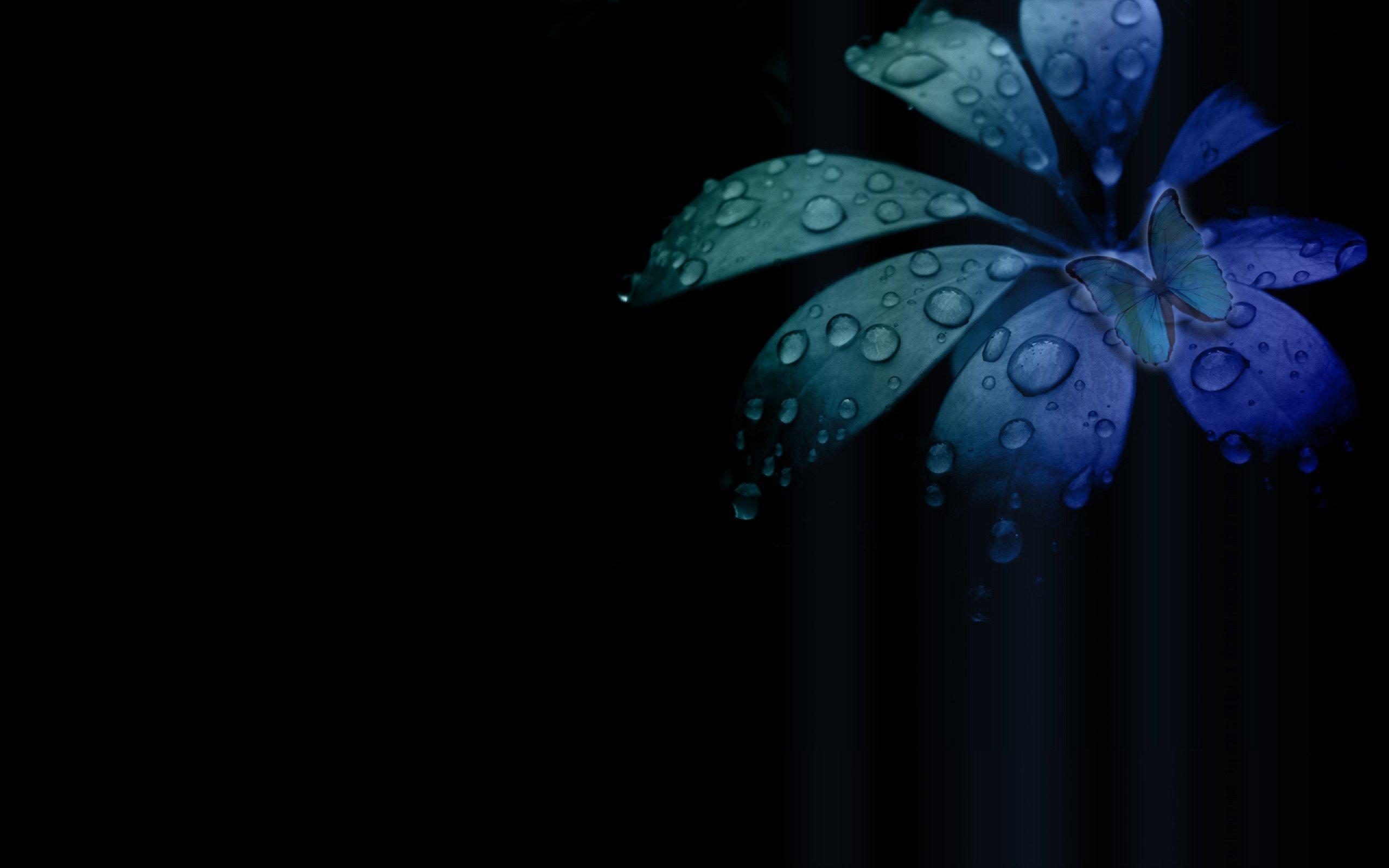 Beautiful Dark Wallpapers - Top Free Beautiful Dark Backgrounds ...