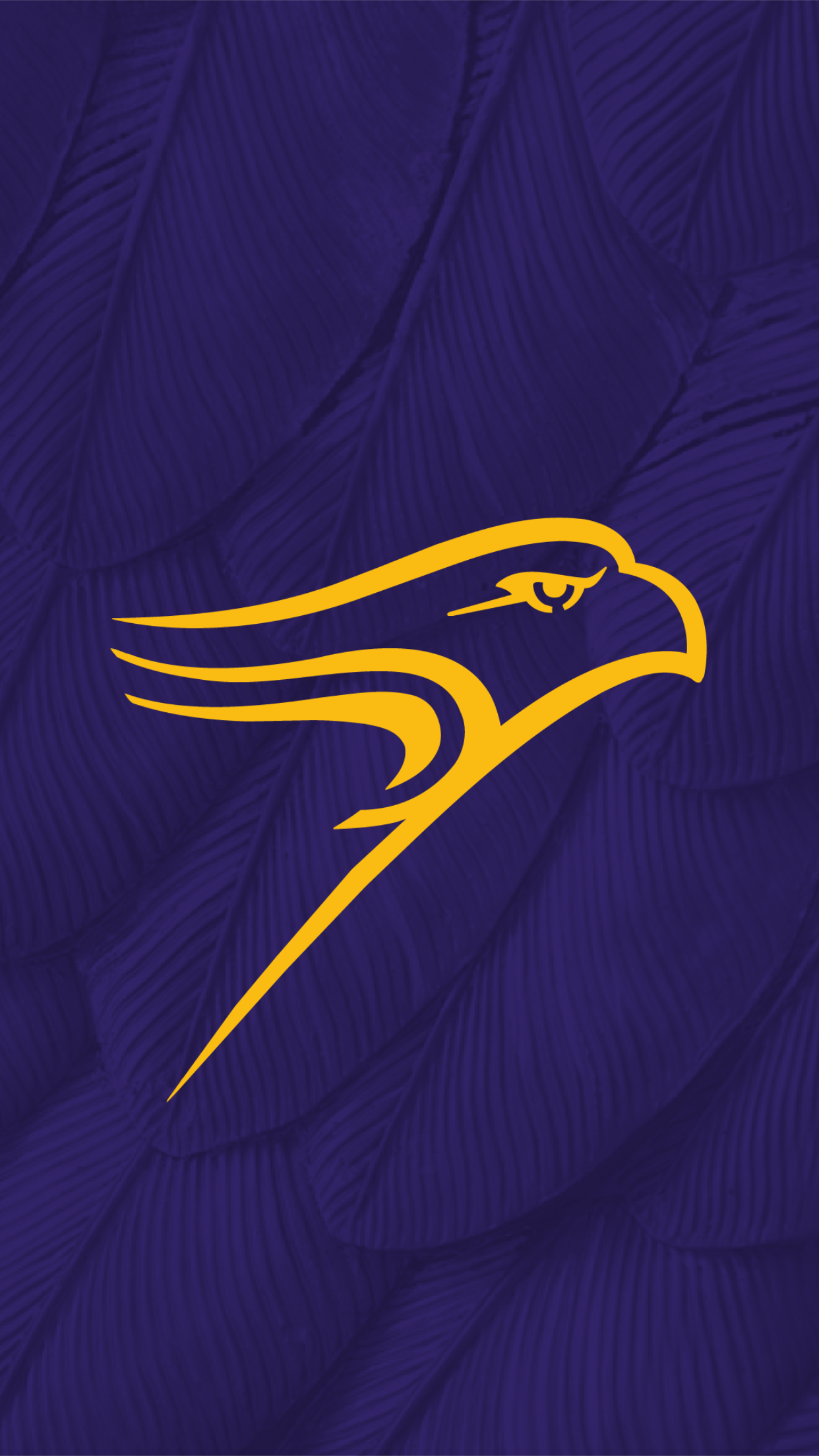 Waterloo Wallpapers - Top Free Waterloo Backgrounds - WallpaperAccess