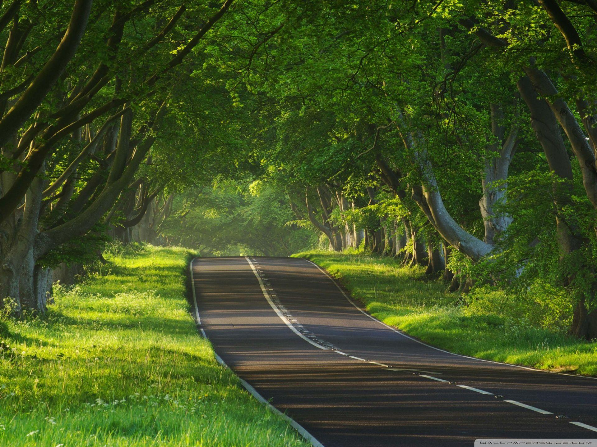 Long Drive Wallpapers - Top Free Long Drive Backgrounds - WallpaperAccess