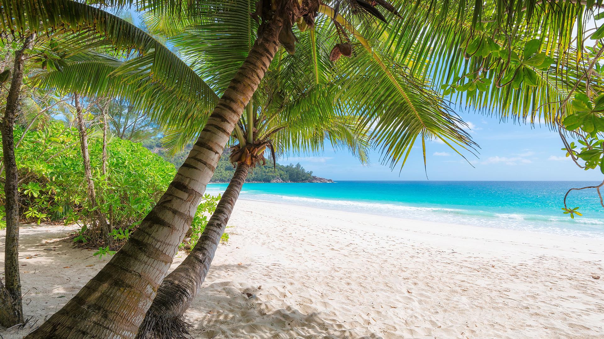 Green Beach Wallpapers - Top Free Green Beach Backgrounds - WallpaperAccess