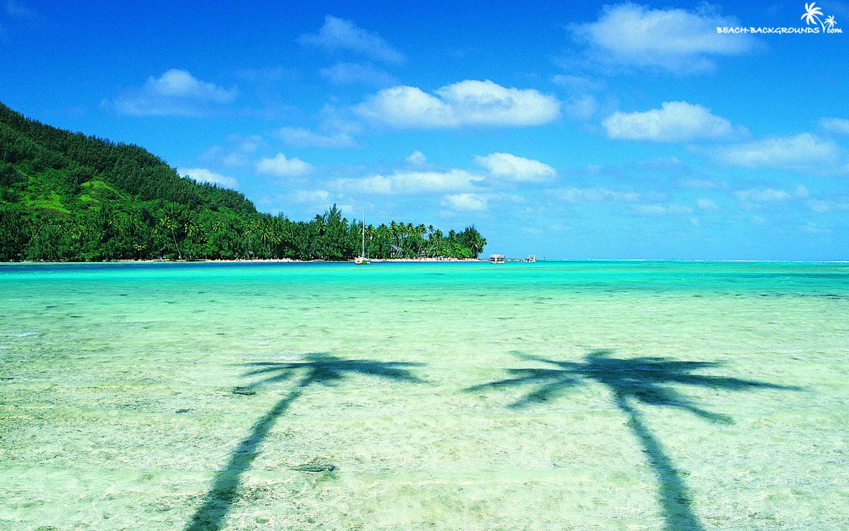 Green Beach Wallpapers - Top Free Green Beach Backgrounds - WallpaperAccess