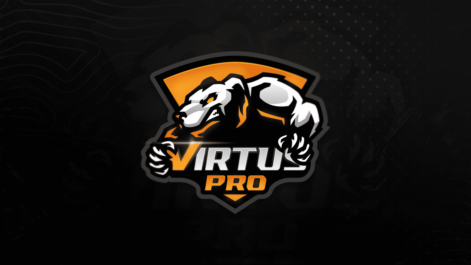 Virtus Pro Wallpapers - Top Free Virtus Pro Backgrounds - WallpaperAccess