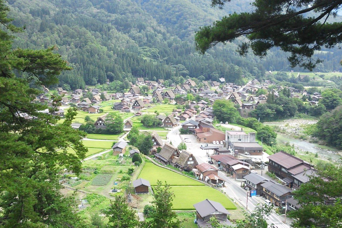 Gifu Wallpapers - Top Free Gifu Backgrounds - WallpaperAccess