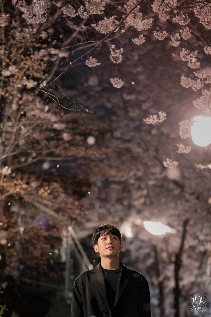 One Spring Night Wallpapers - Top Free One Spring Night Backgrounds ...