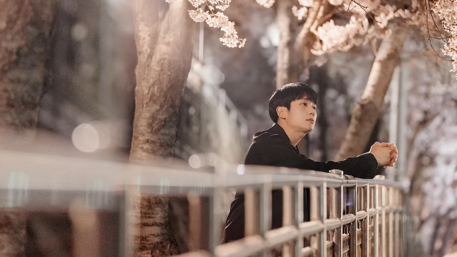 One Spring Night Wallpapers - Top Free One Spring Night Backgrounds ...