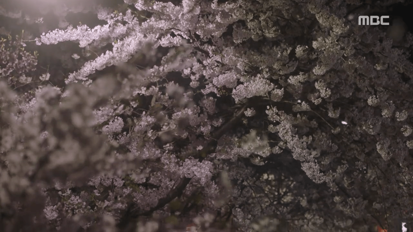 One Spring Night Wallpapers - Top Free One Spring Night Backgrounds - WallpaperAccess