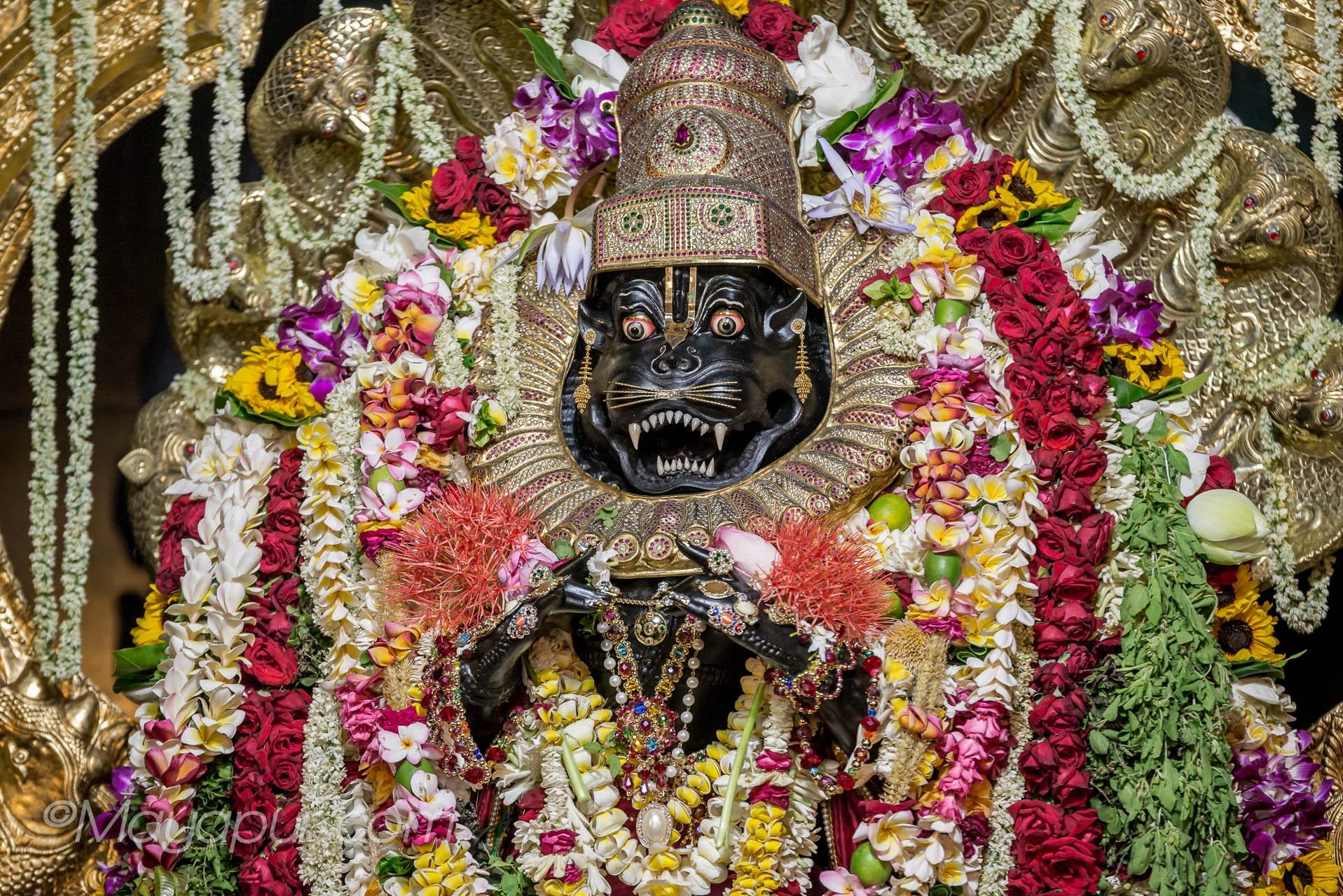 Mayapur Wallpapers - Top Free Mayapur Backgrounds - WallpaperAccess