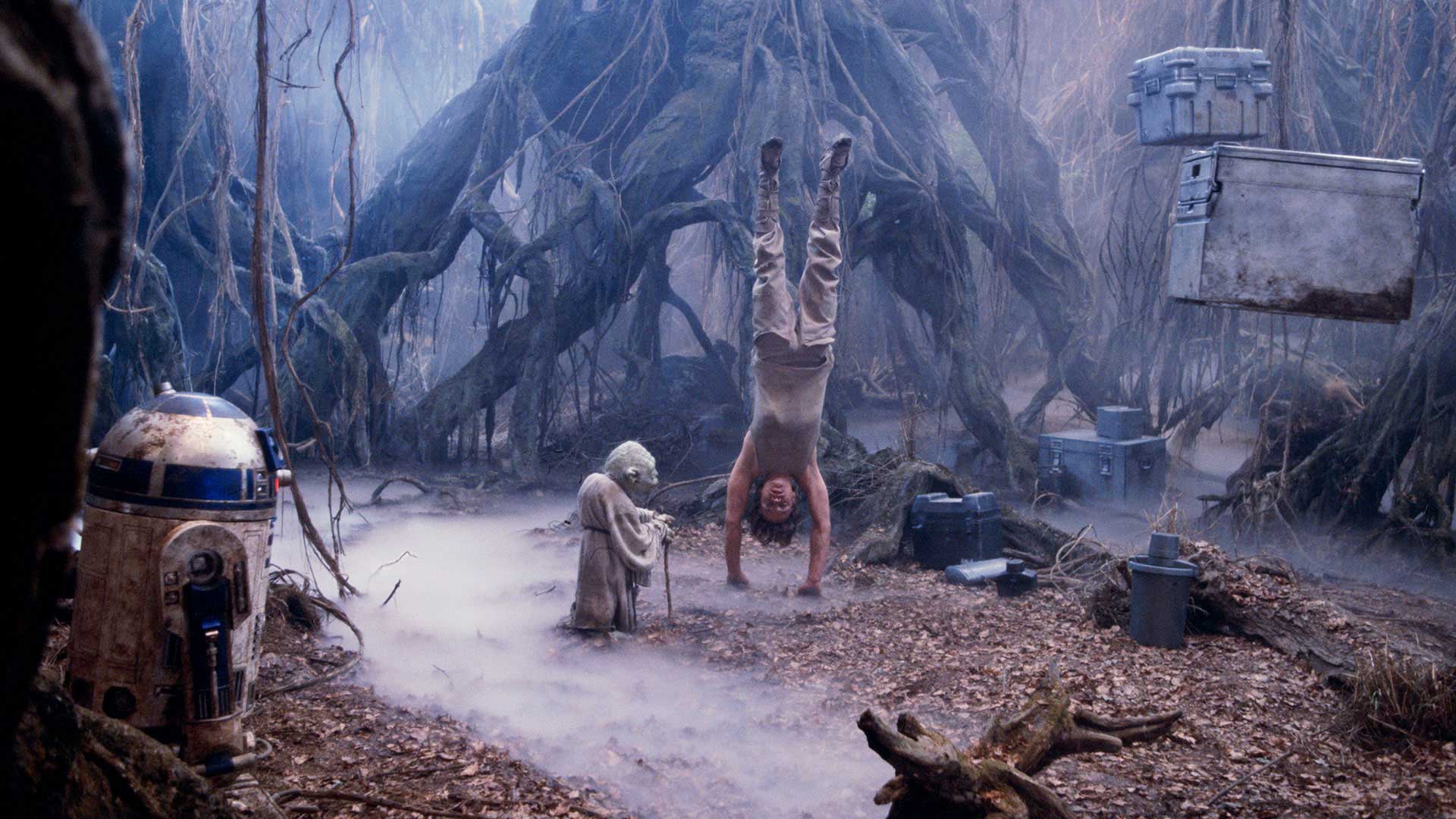 Dagobah Wallpapers - Top Free Dagobah Backgrounds - WallpaperAccess