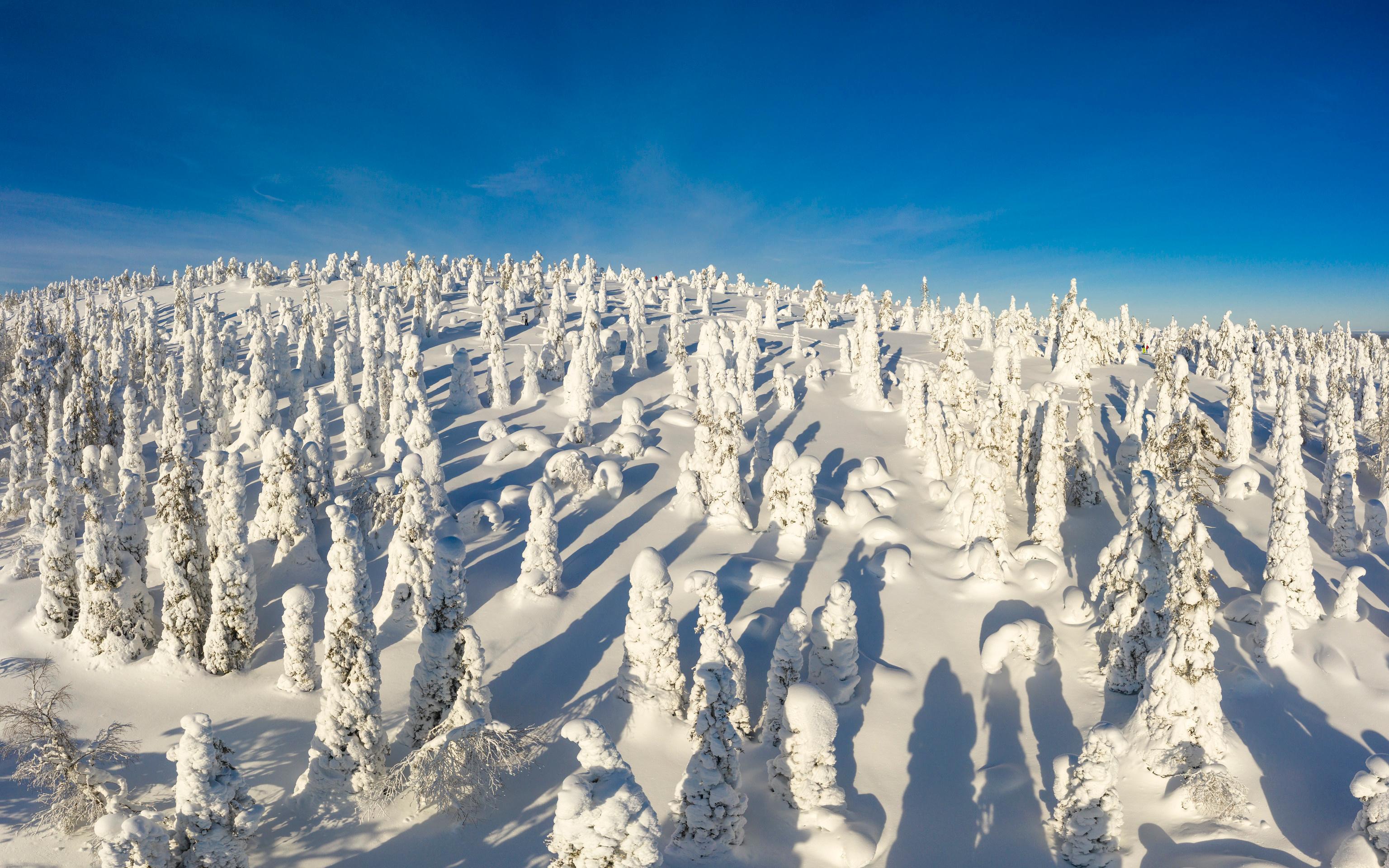 3072X1920 Wallpapers - Top Free 3072X1920 Backgrounds - WallpaperAccess