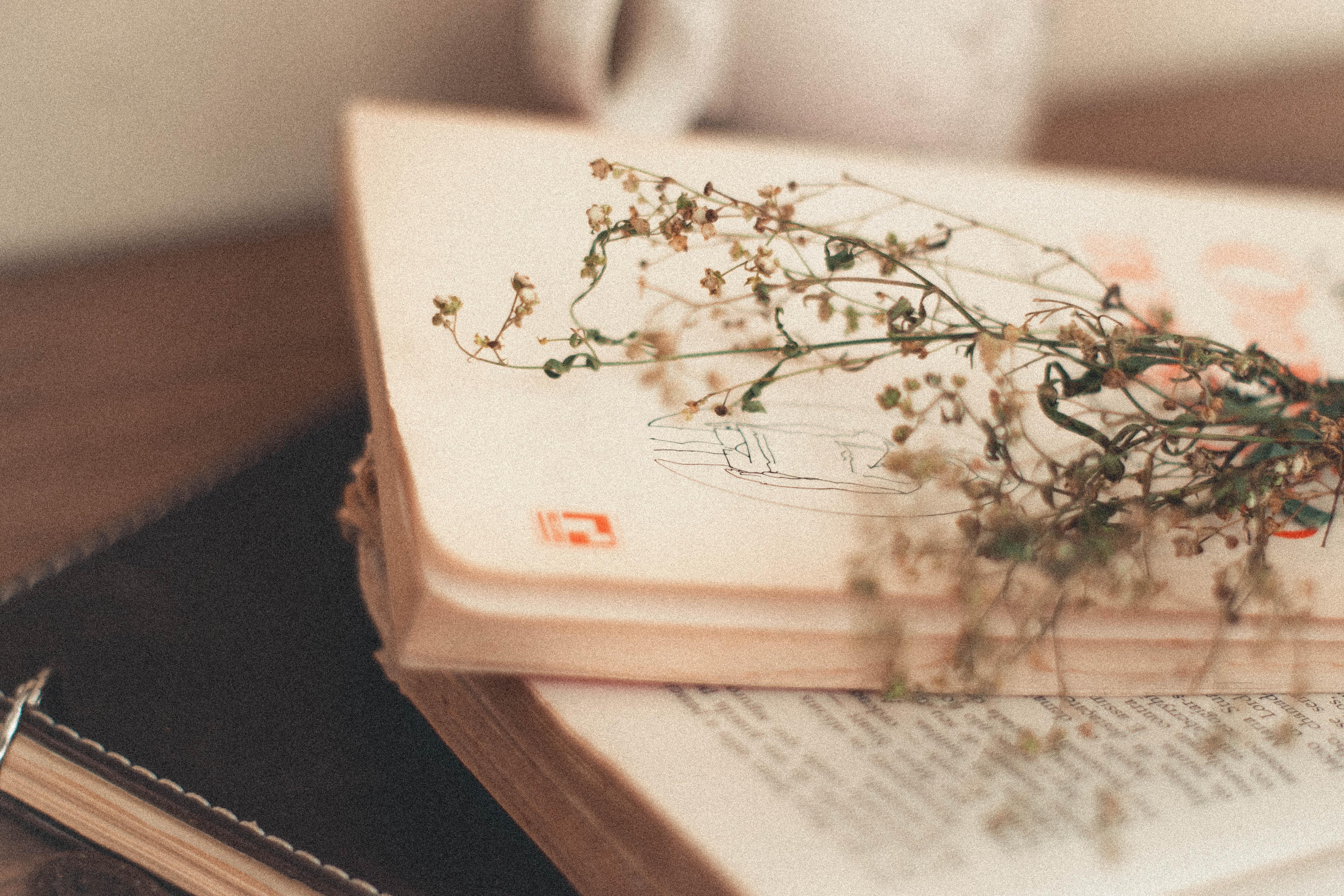 Poetic Wallpapers - Top Free Poetic Backgrounds - WallpaperAccess
