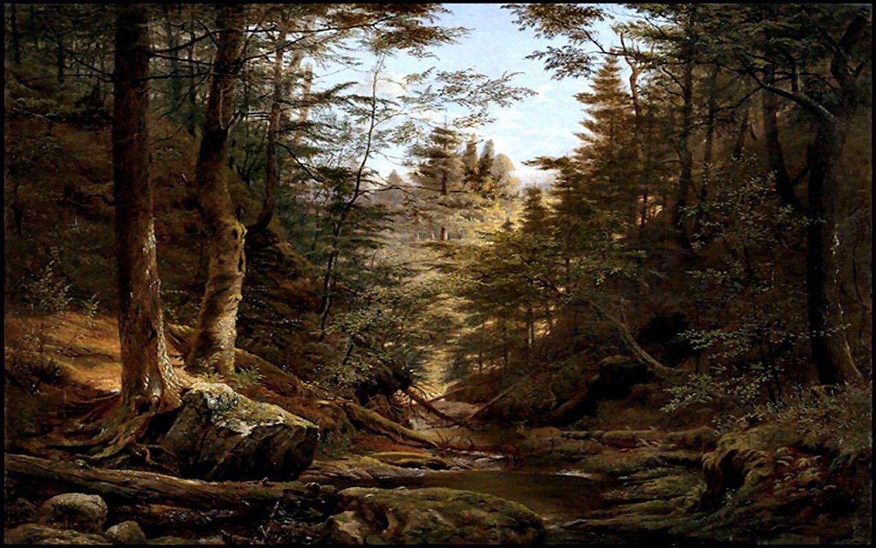 Wilderness Desktop Wallpapers - Top Free Wilderness Desktop Backgrounds ...