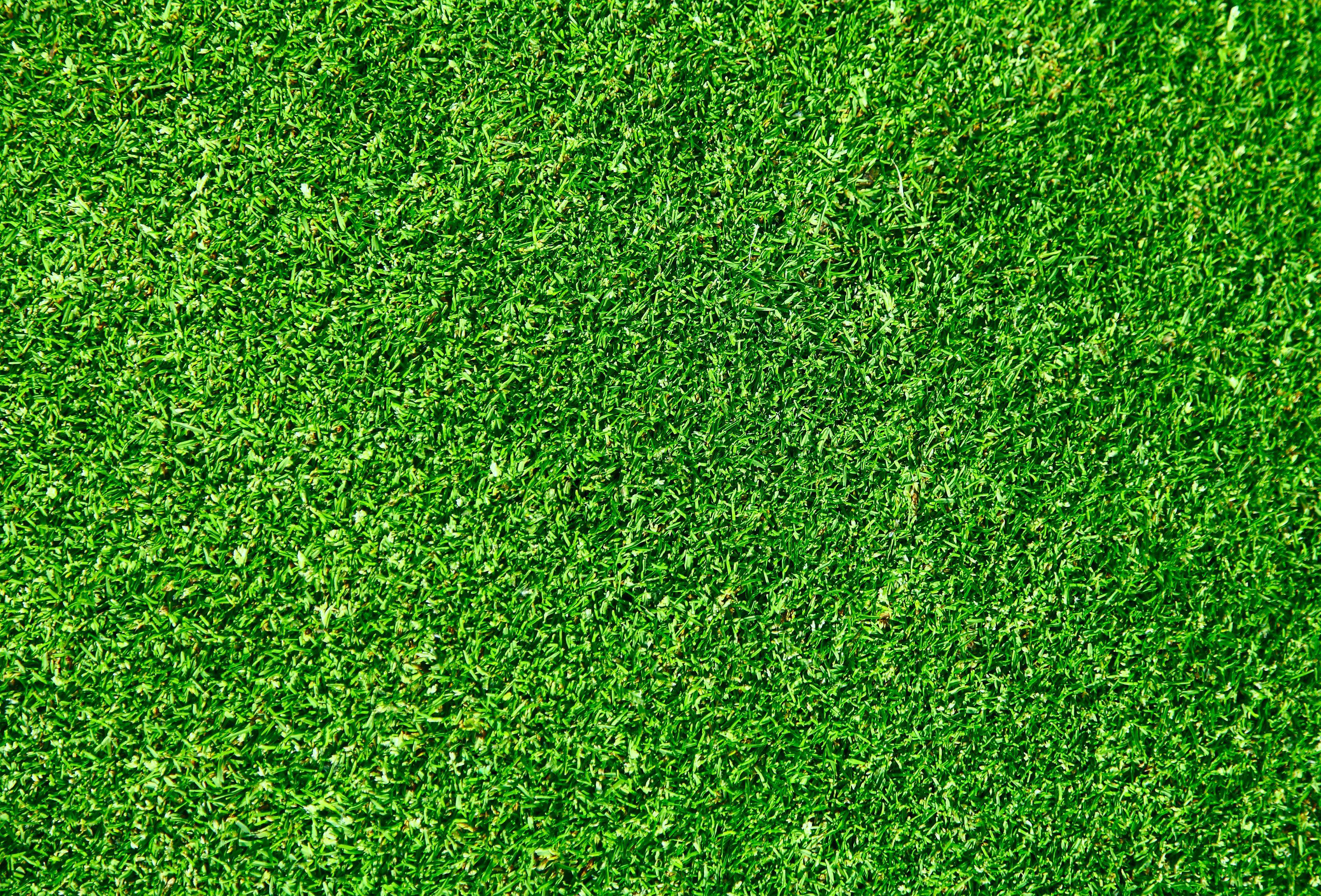 Turf Wallpapers - Top Free Turf Backgrounds - WallpaperAccess