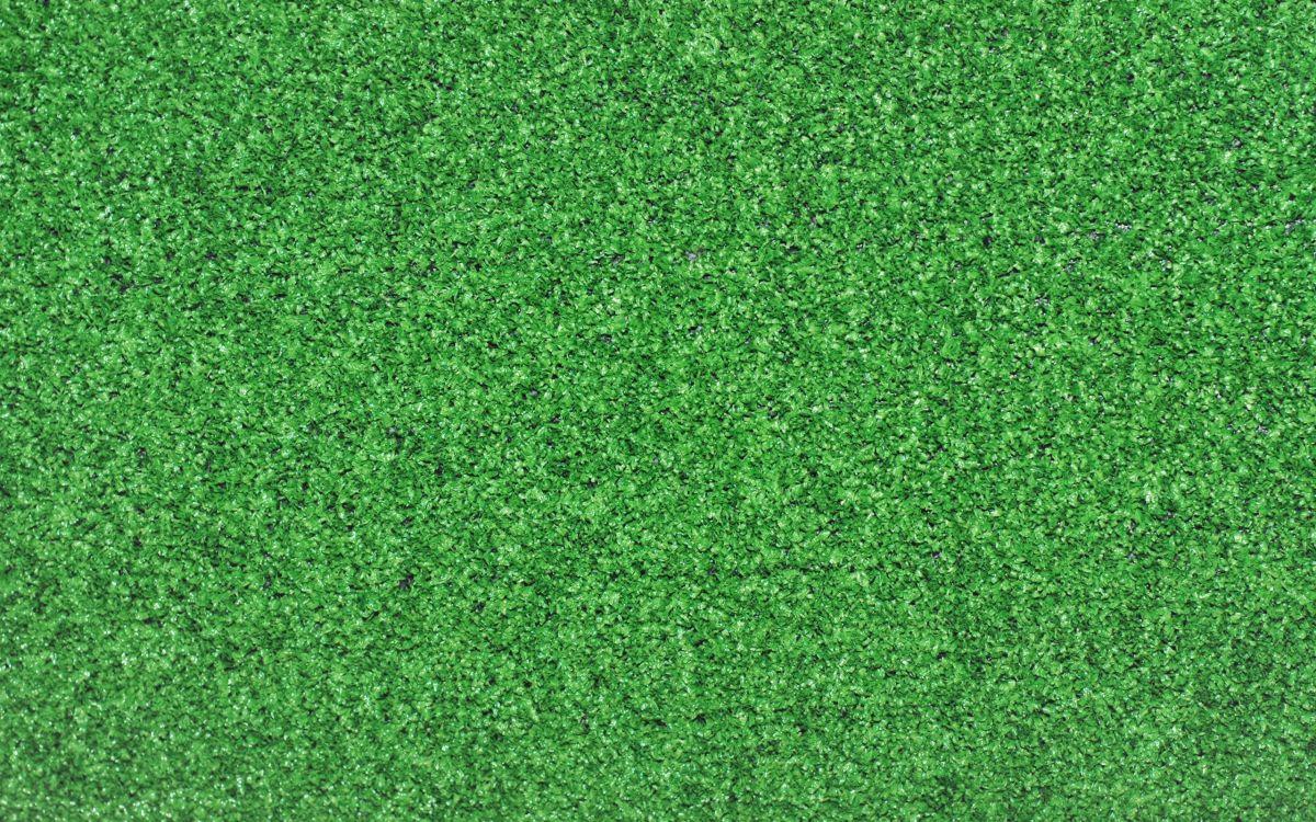 Turf Wallpapers - Top Free Turf Backgrounds - WallpaperAccess