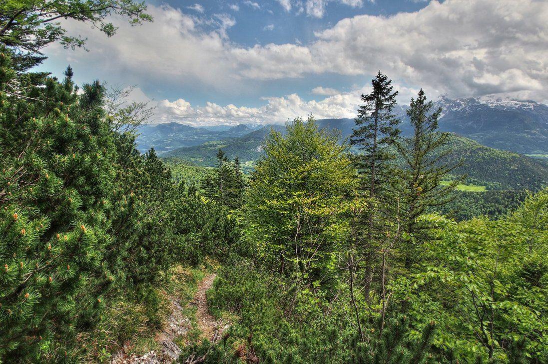 Wilderness Desktop Wallpapers - Top Free Wilderness Desktop Backgrounds ...