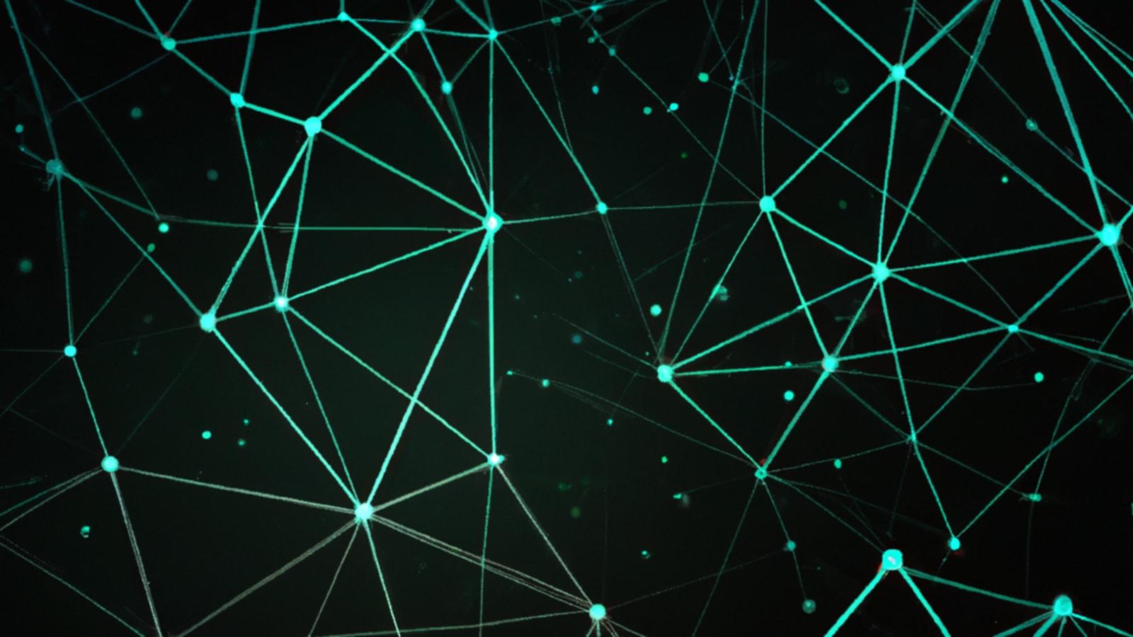 BacKend Wallpapers - Top Free BacKend Backgrounds - WallpaperAccess