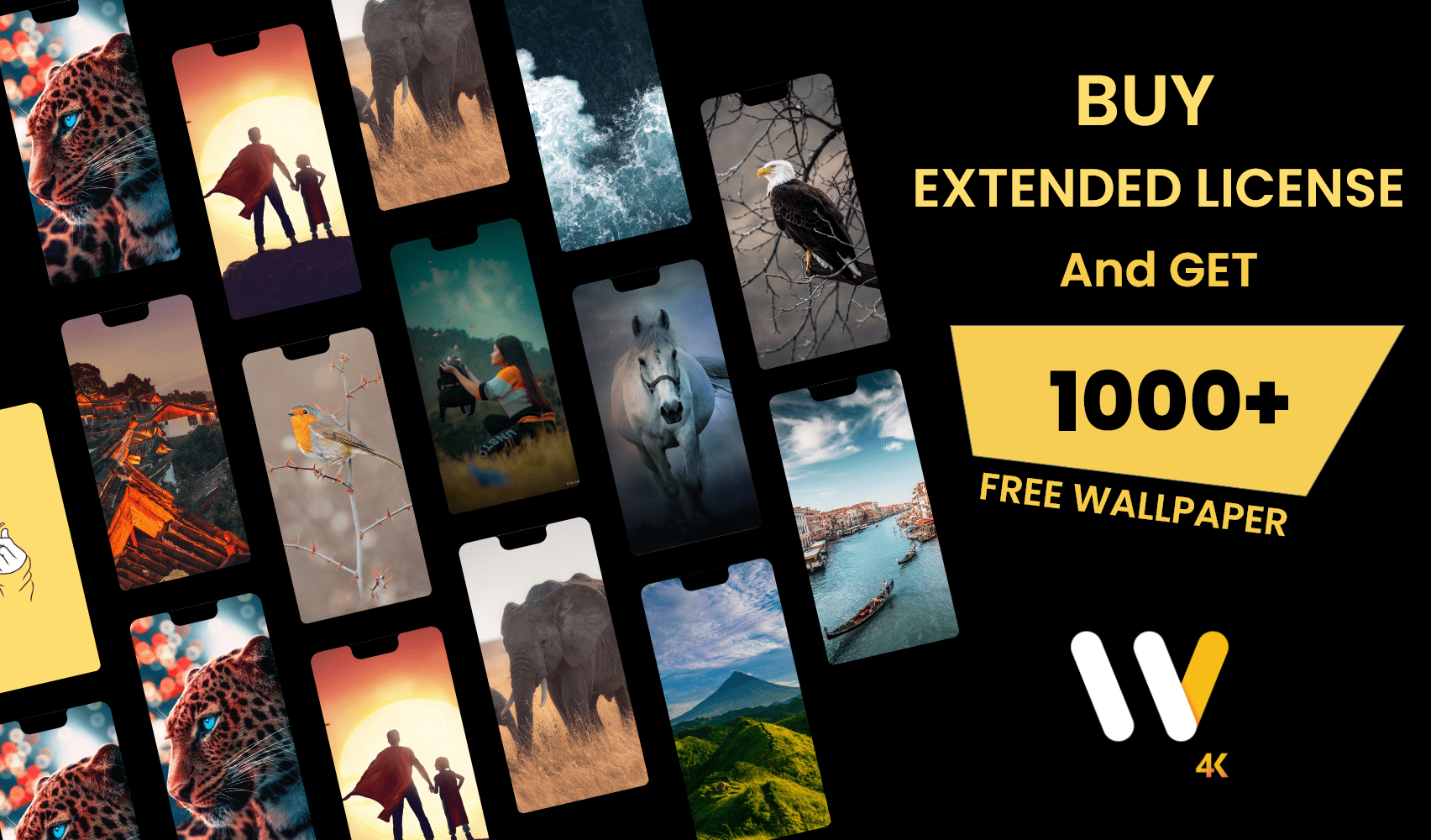 BacKend Wallpapers - Top Free BacKend Backgrounds - WallpaperAccess