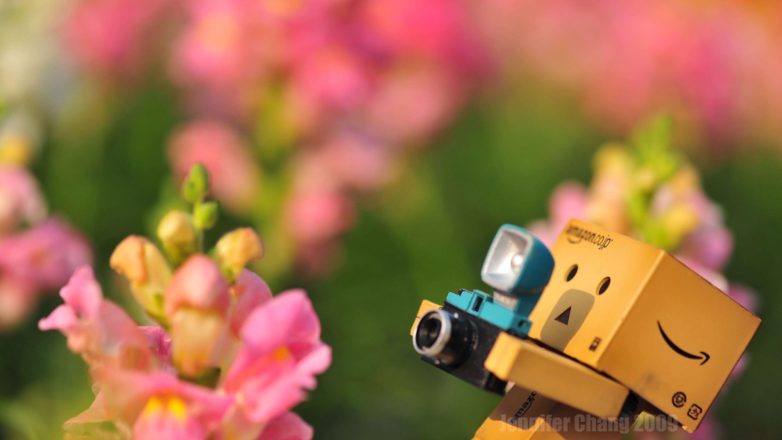 Falling Down Wallpapers - Top Free Falling Down Backgrounds ...