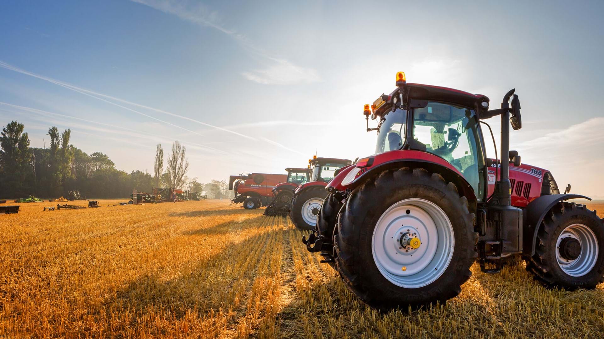 Auction Wallpapers - Top Free Auction Backgrounds - WallpaperAccess